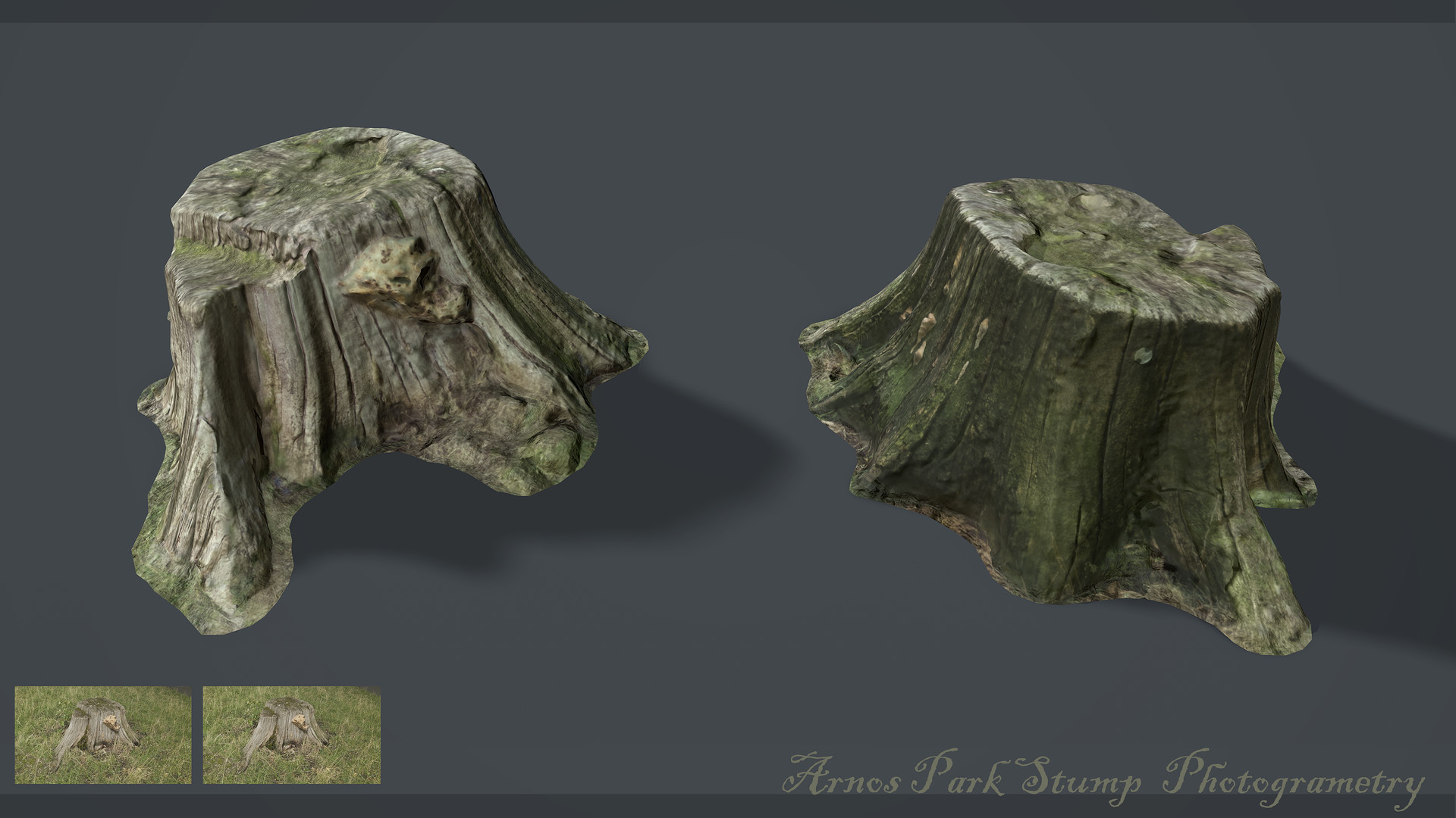 ArtStation - Arnos Park Stump