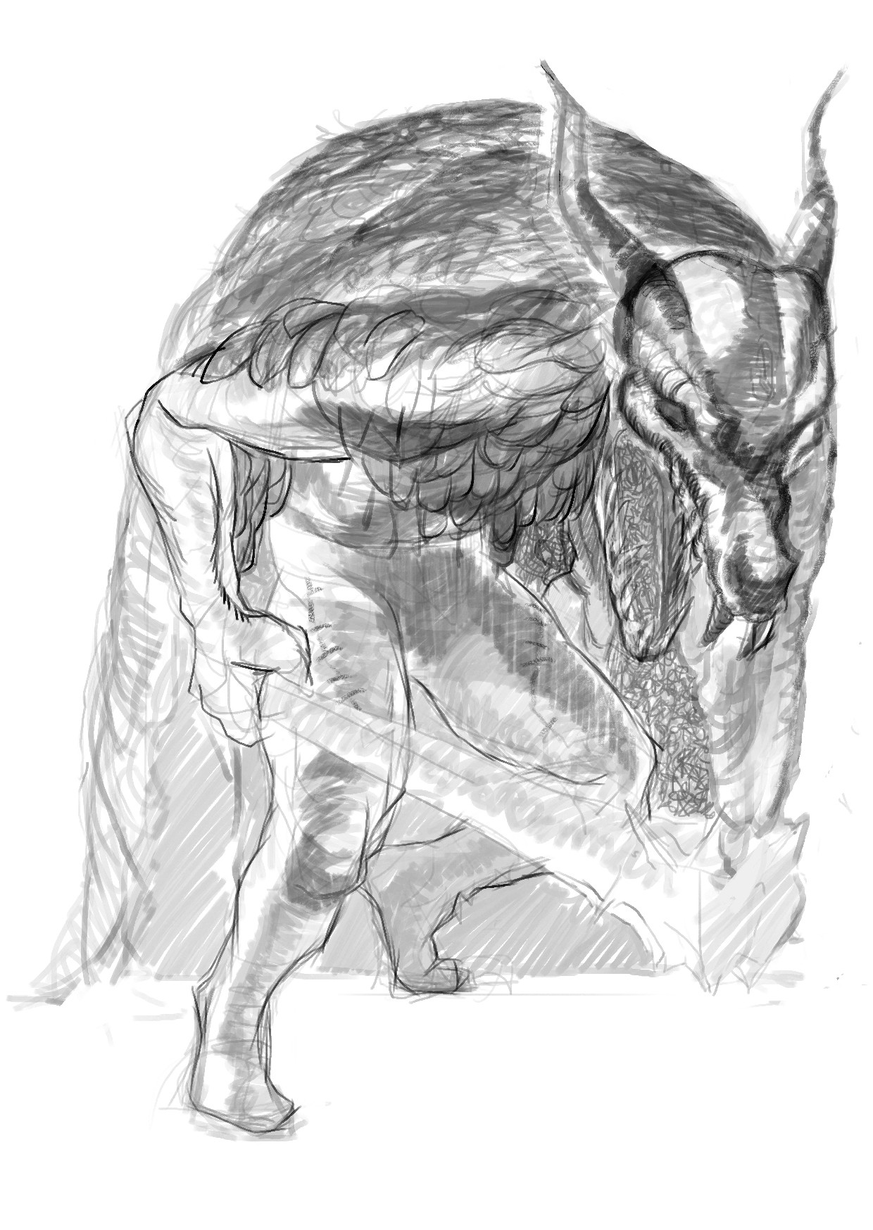 how to draw a hard rat