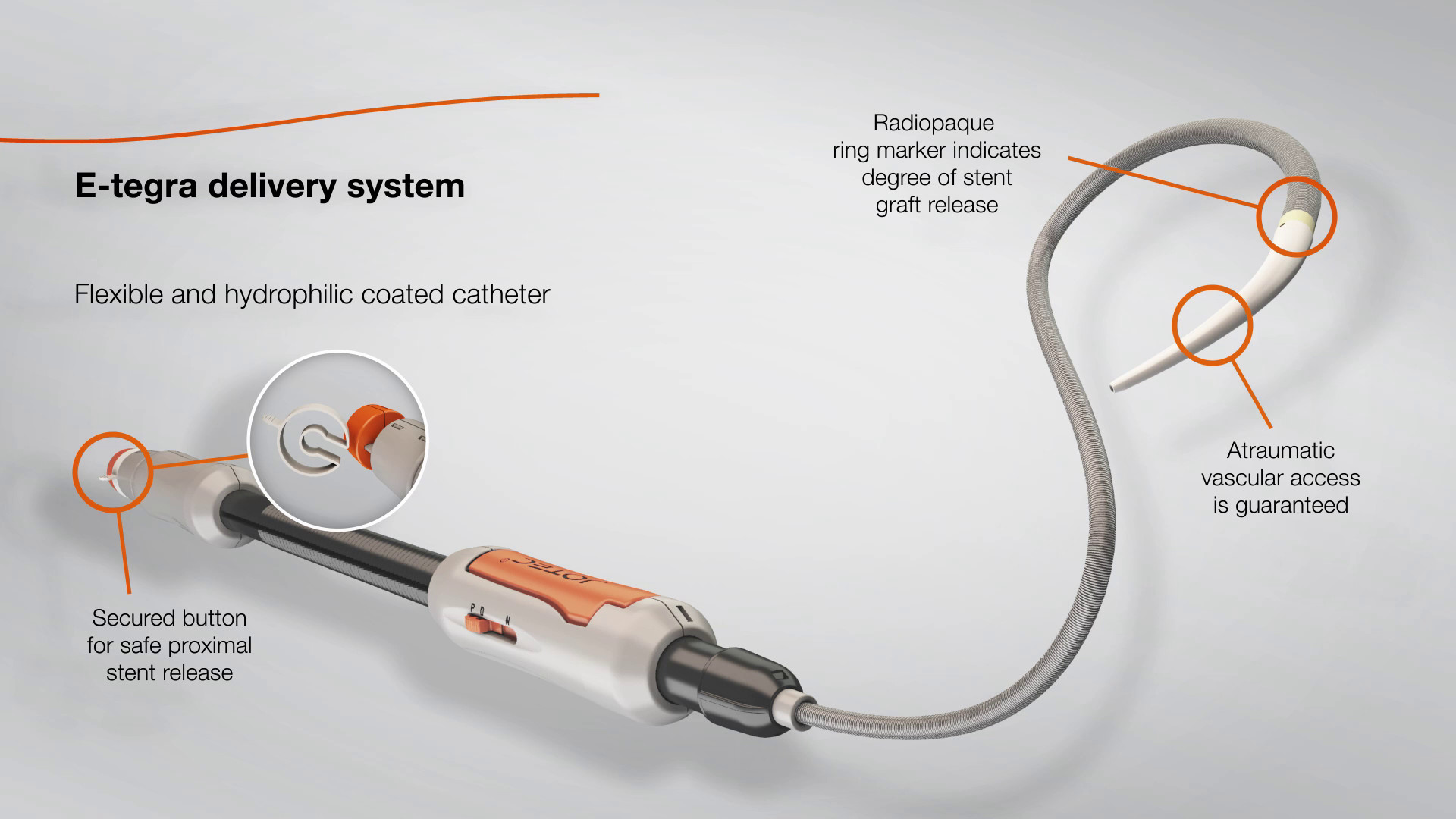 Max Holzer - Stent Graft Delivery System