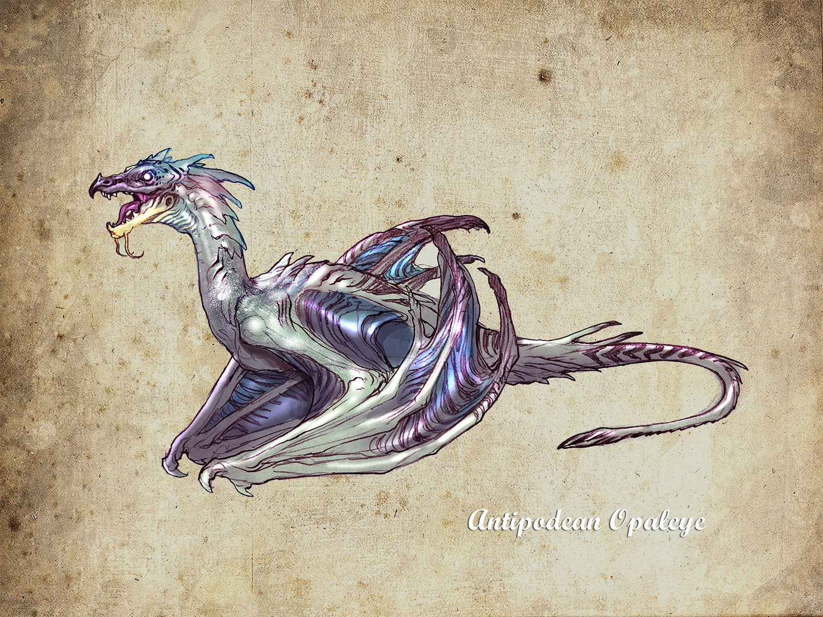 how to draw harry potter dragon