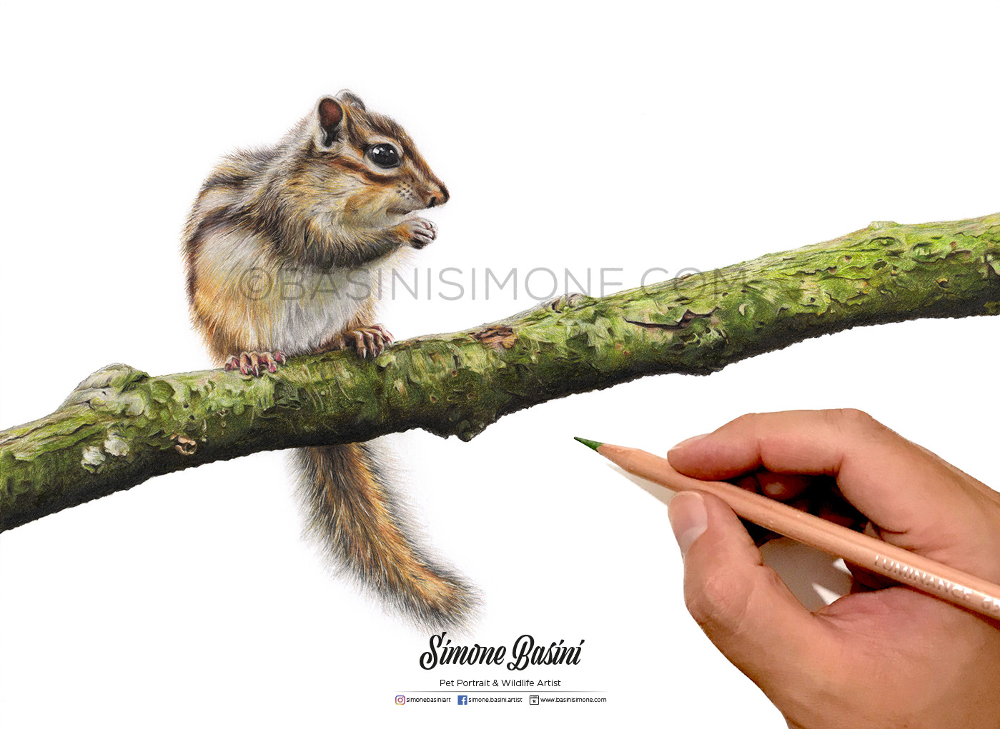 ArtStation - Chipmunk on branch