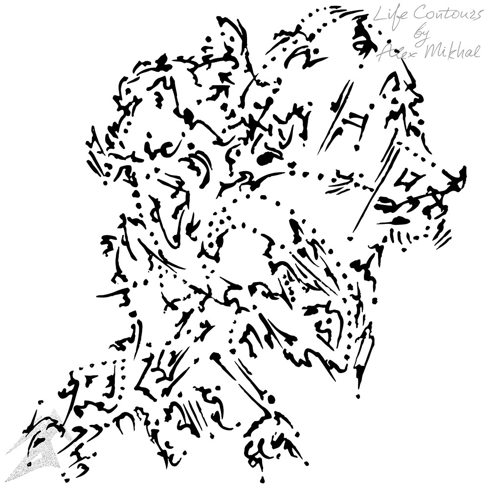 Alex Mikhal - Life Contours