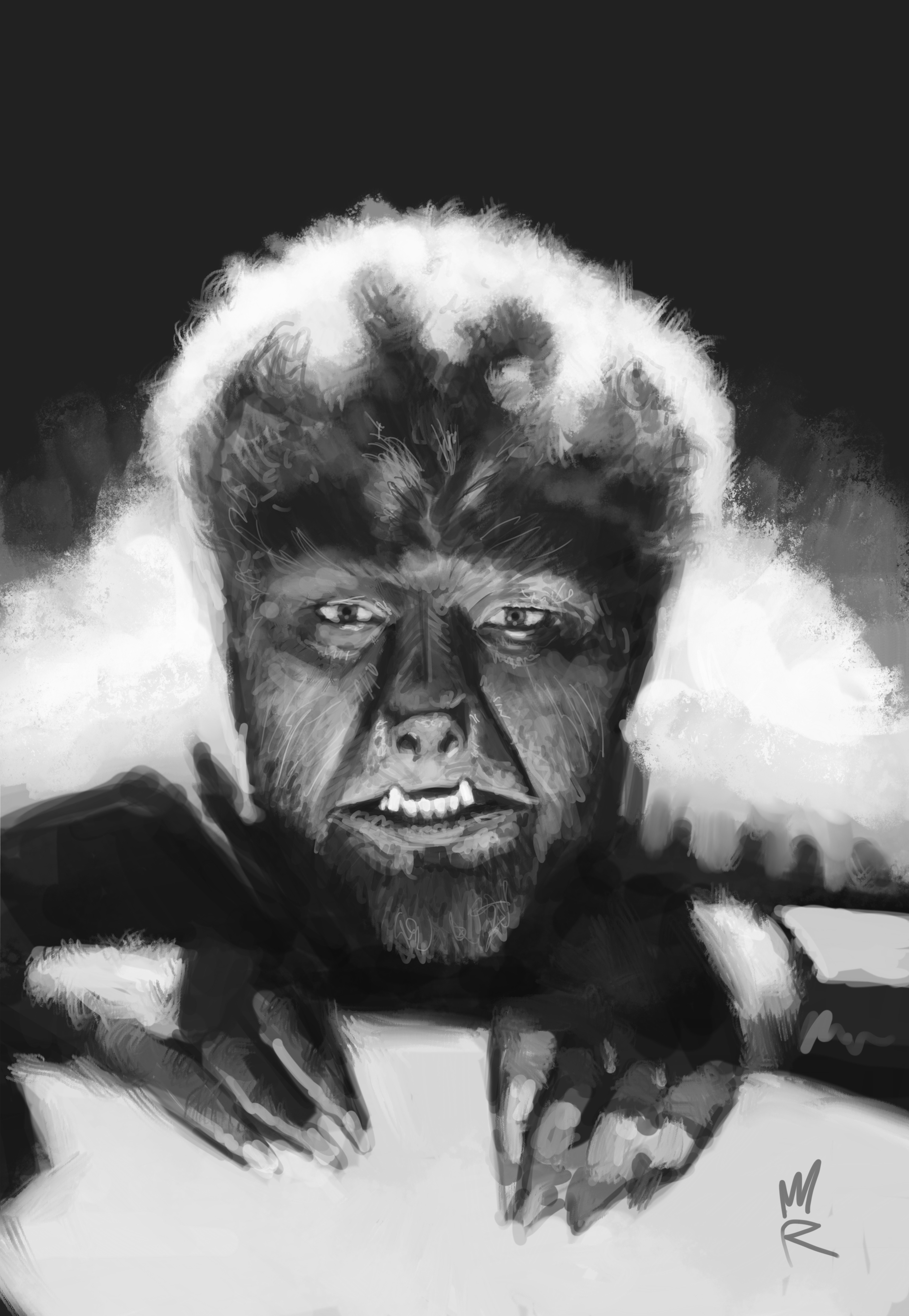 Lobo Delgado Lobo Fénix Aireado Hermoso Lobo Delgado Con Alas Largas,