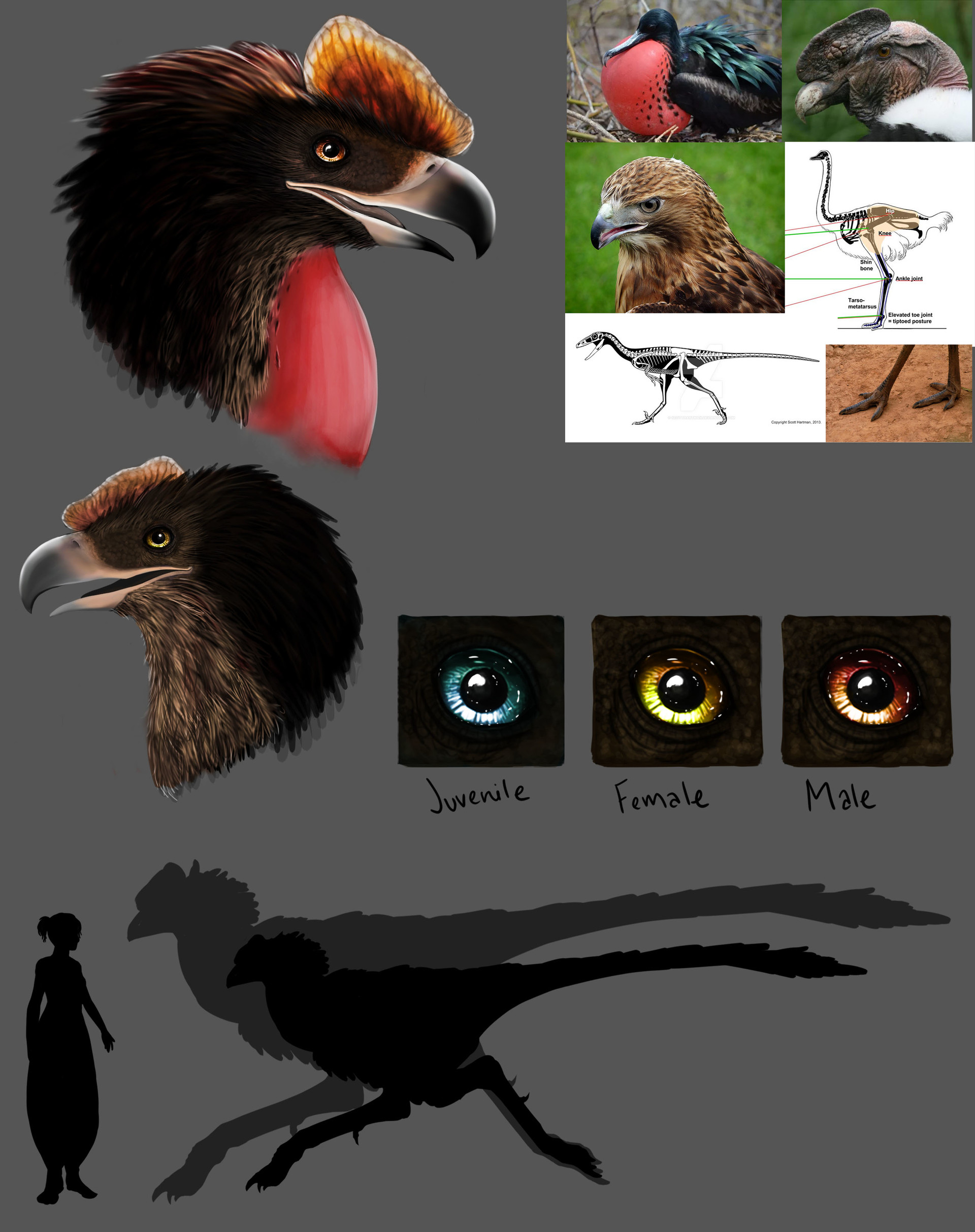 ArtStation - Terror Beak