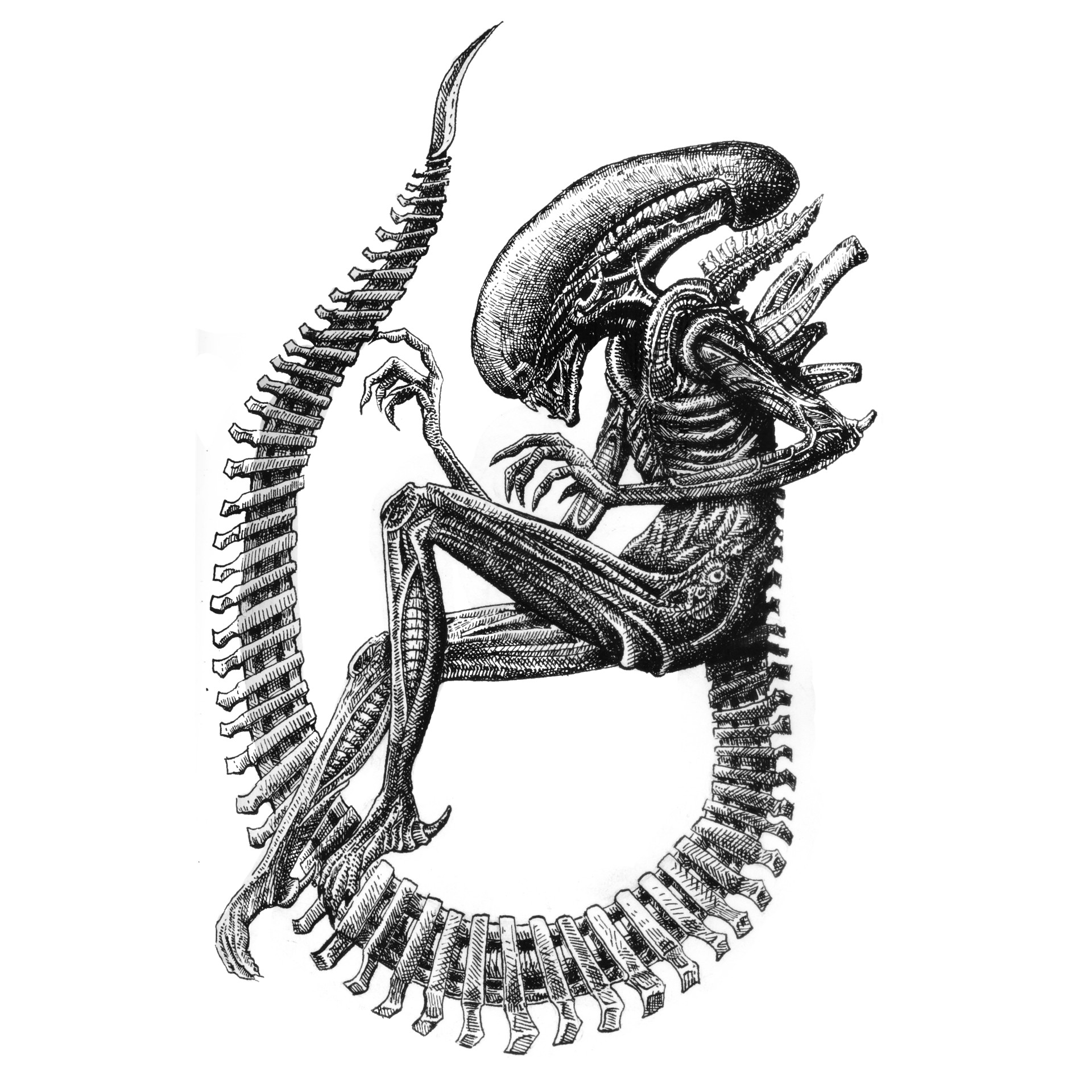 ArtStation - Alien CrossHatching Style