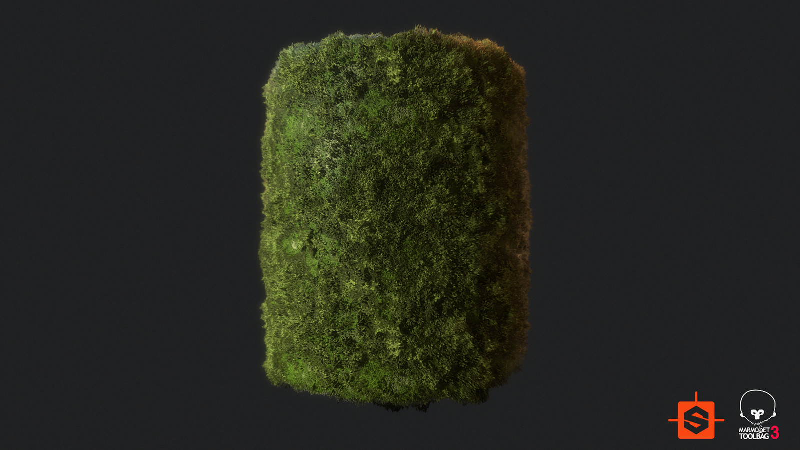 Shanshan He - Procedural Moss Material Study