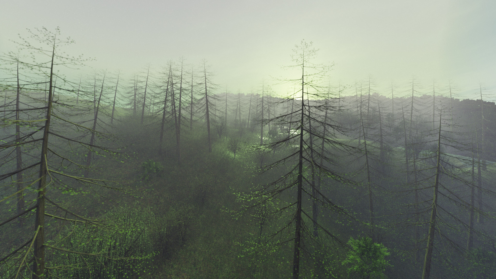 ArtStation - Forest