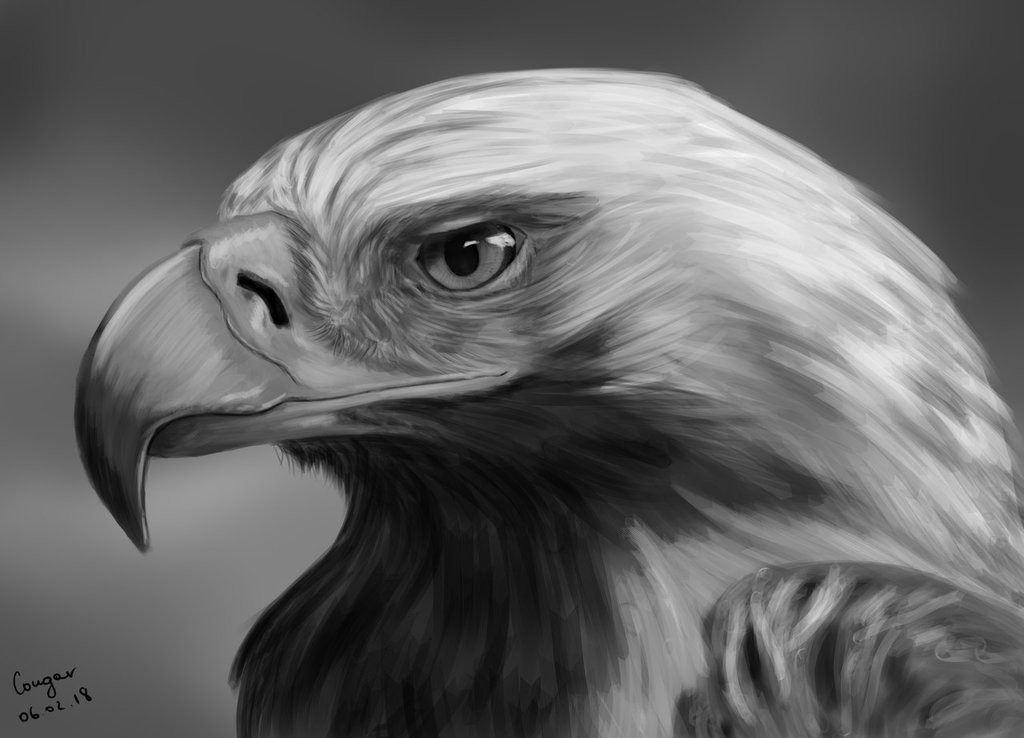 ArtStation - Eagle