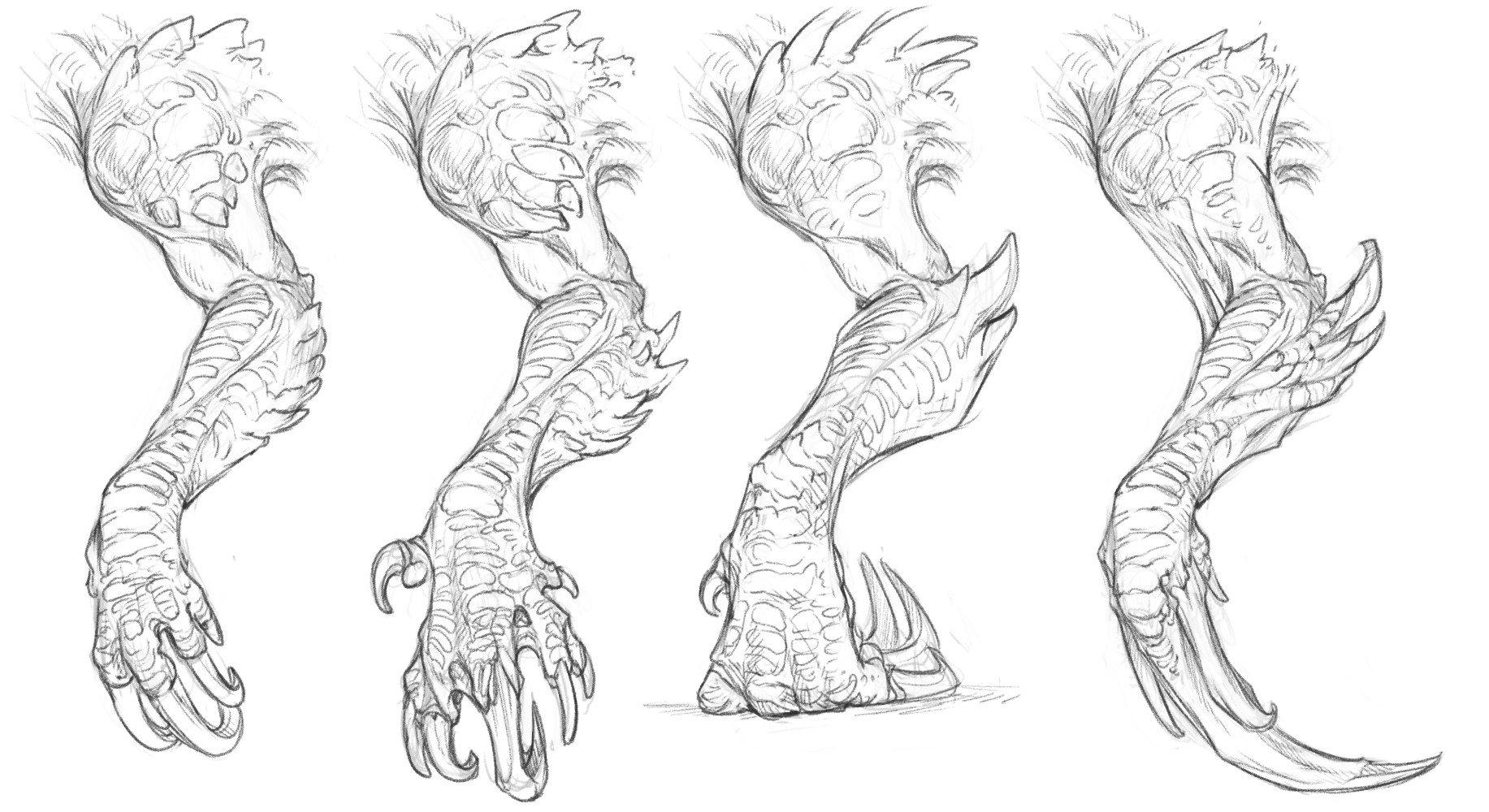 how to draw a dragon talon