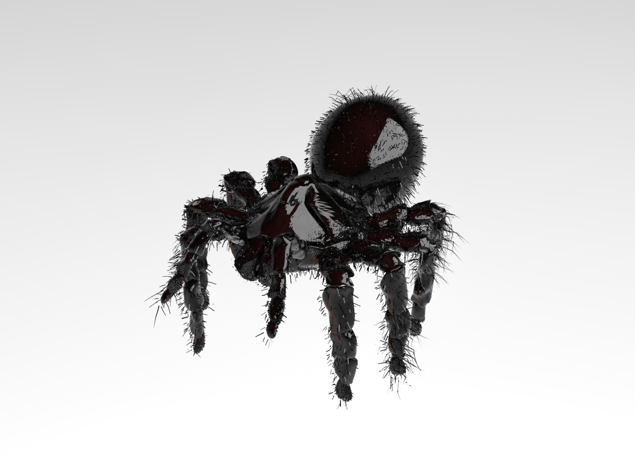 ArtStation - Black spider