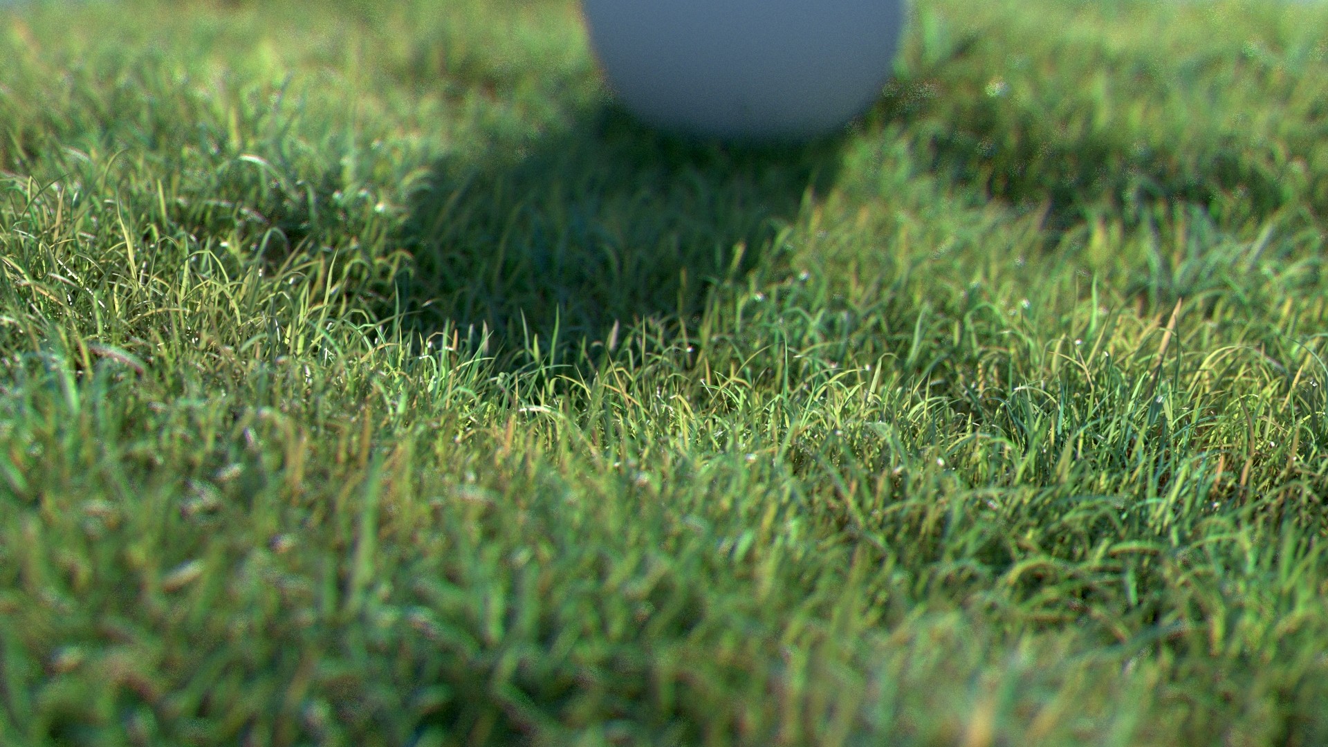 ArtStation - grass