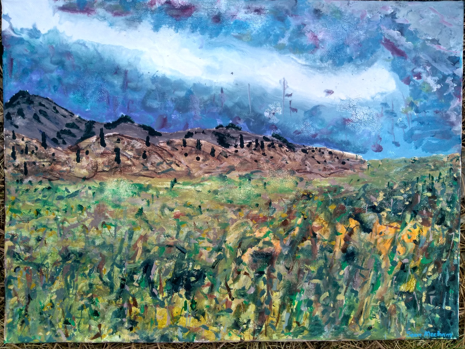 Sean Mecham - watercolor enclave