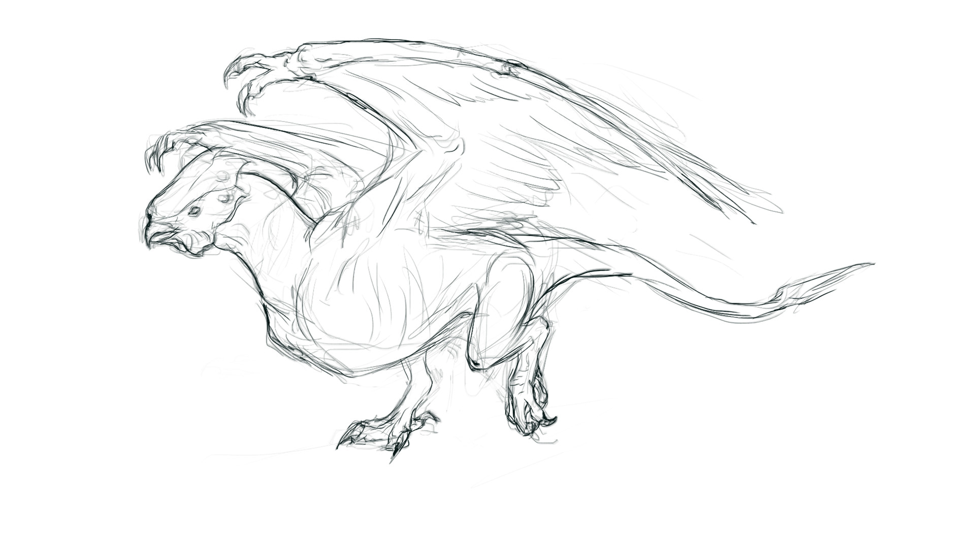 green basilisk drawing