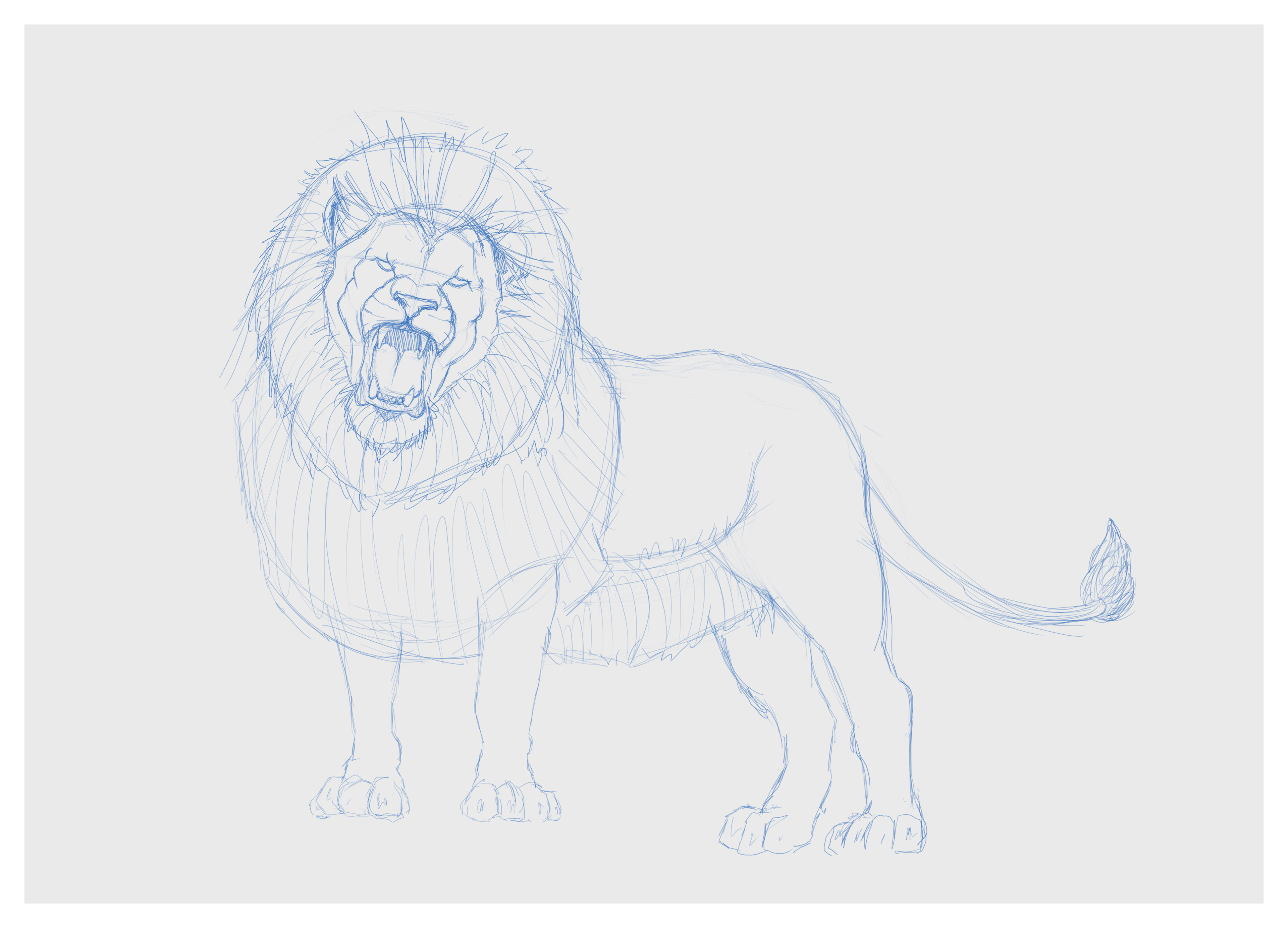 how to draw nemean lion