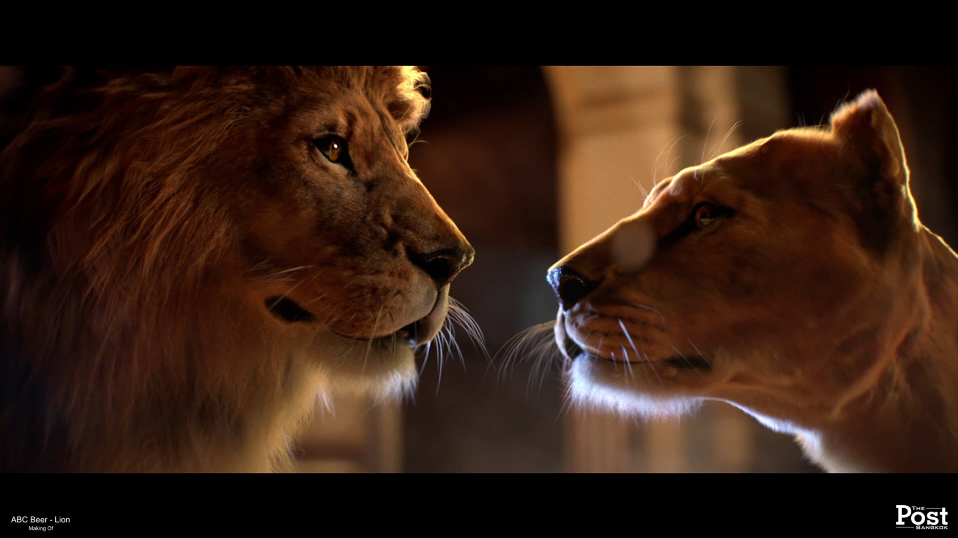 ToTo Dost - Lion - ABC Beer / TVC [2018]