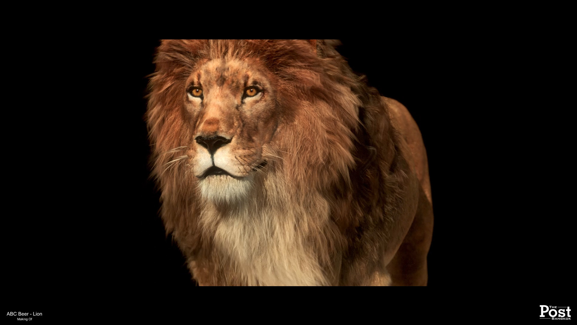 ToTo Dost - Lion - ABC Beer / TVC [2018]