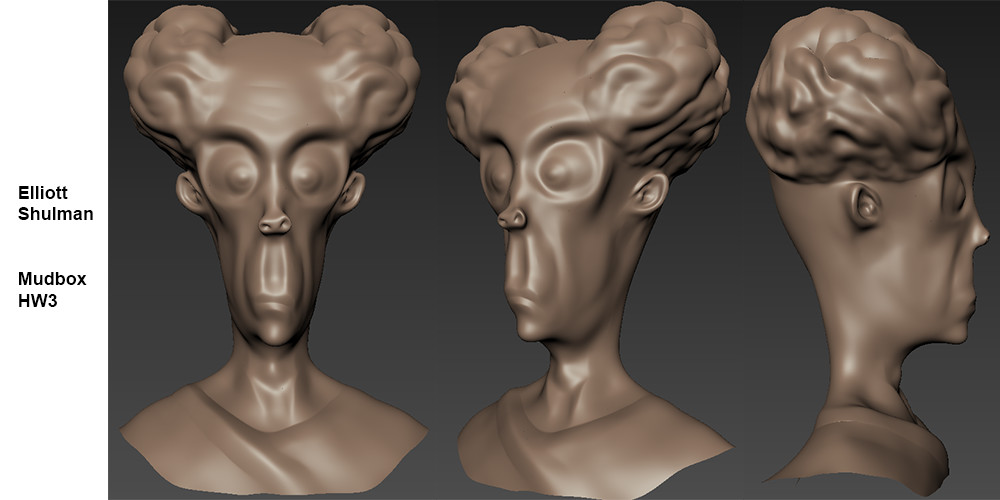 Elliott Shulman - Anatomy Sculpts