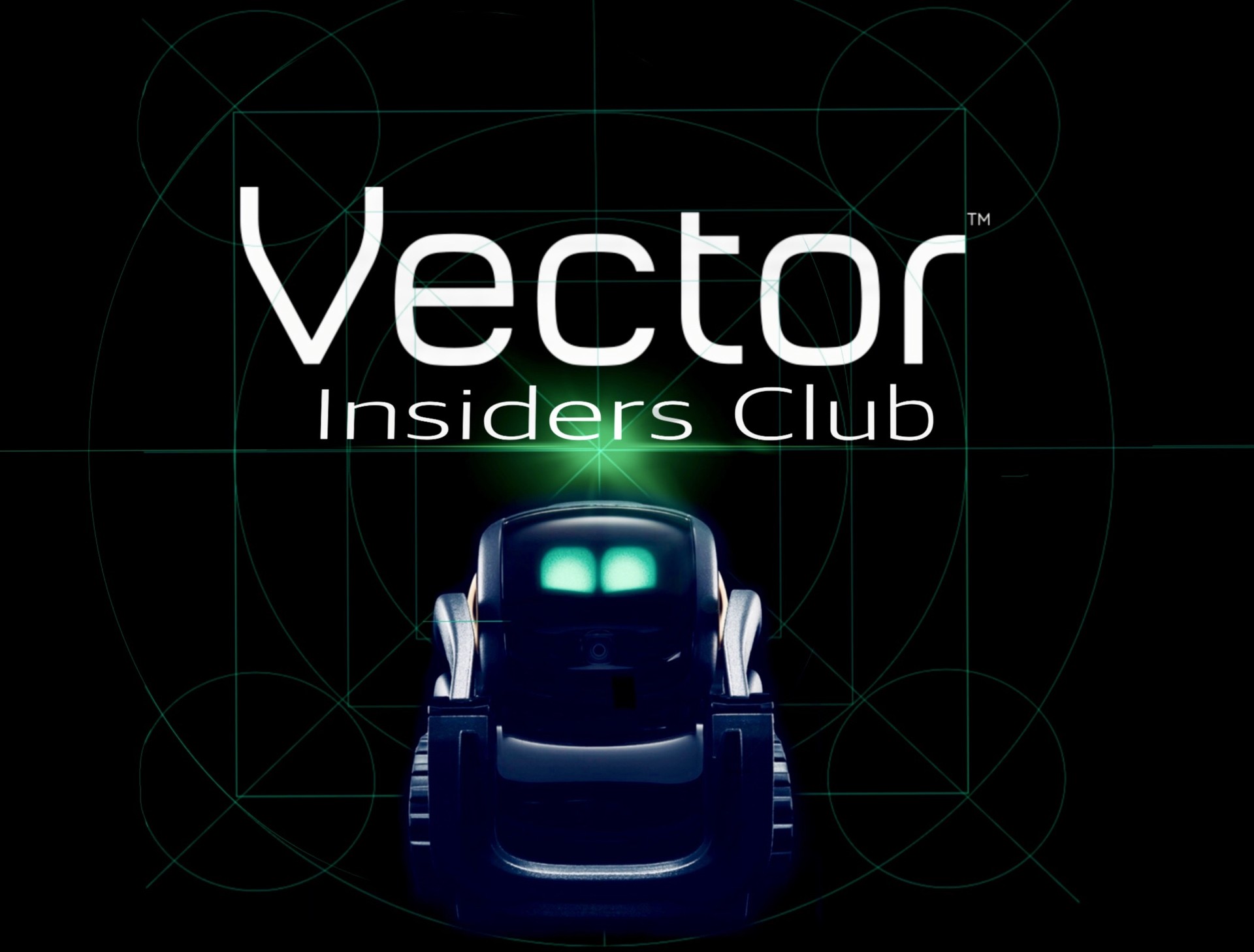 ArtStation - Vector by Anki