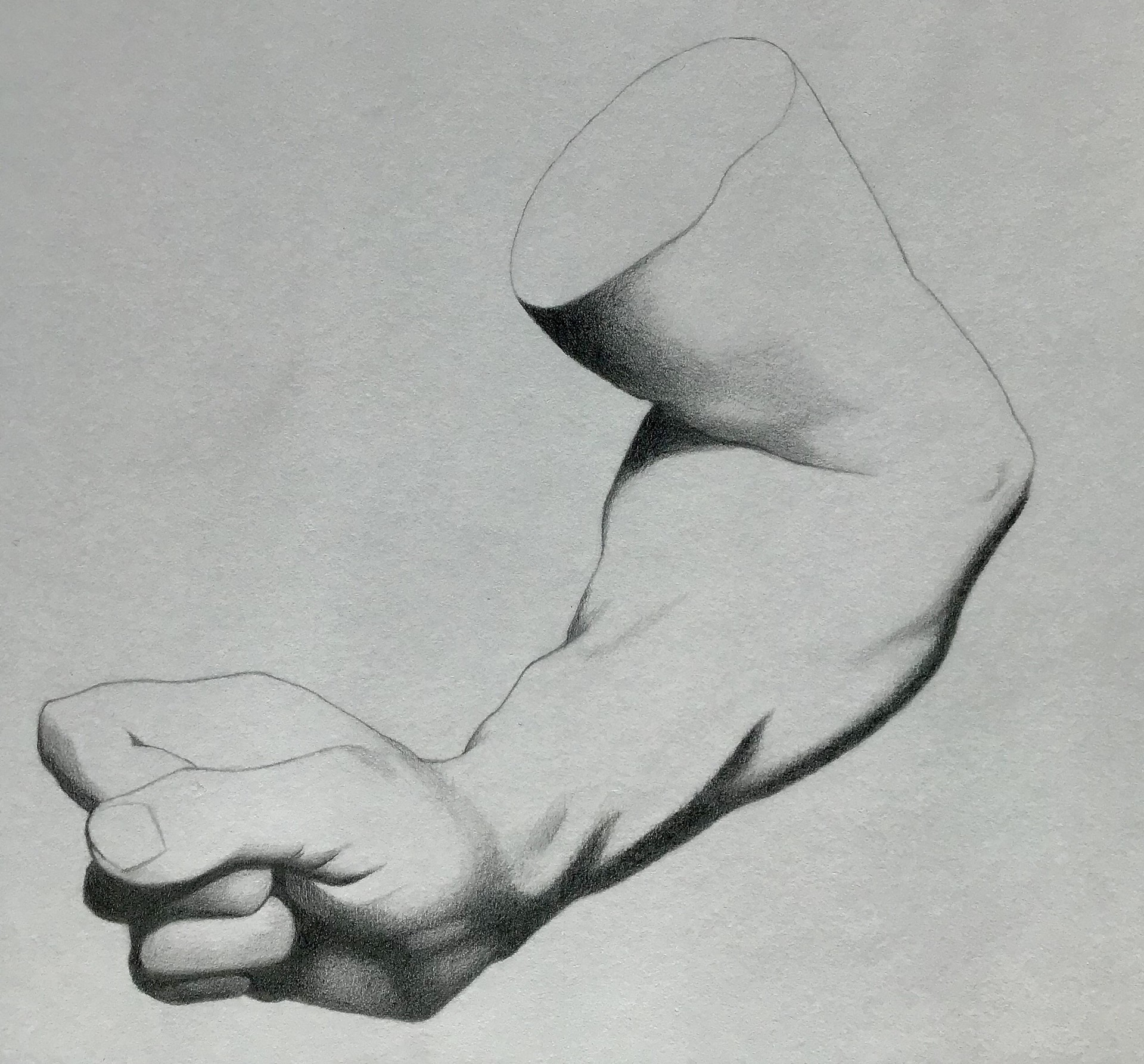 ArtStation - Flexed Forearm of a Man