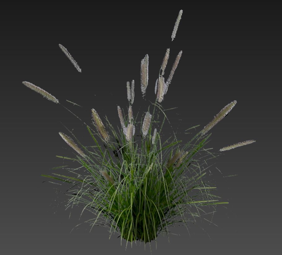 ArtStation - Tall Grass