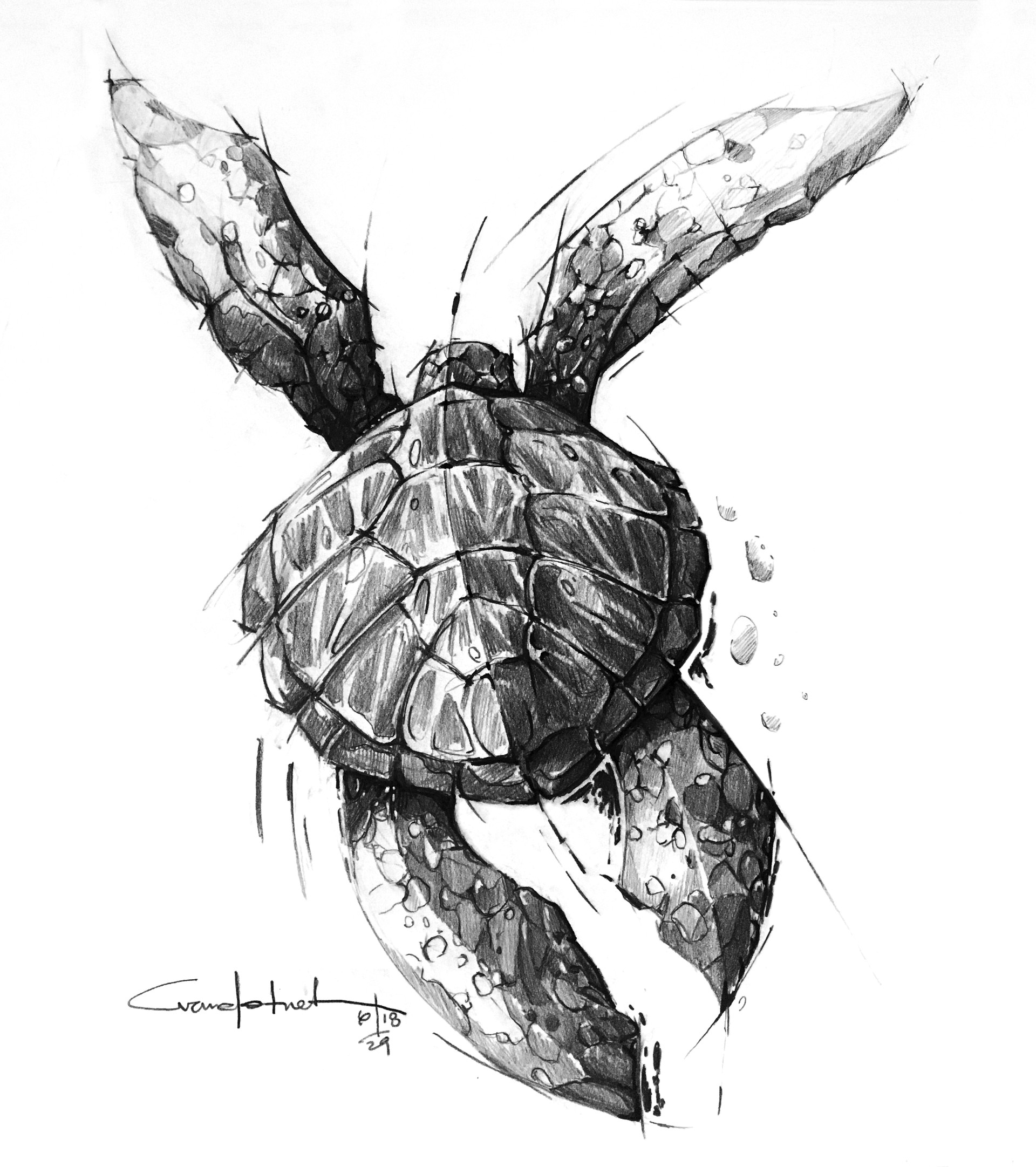 ArtStation - of the ocean