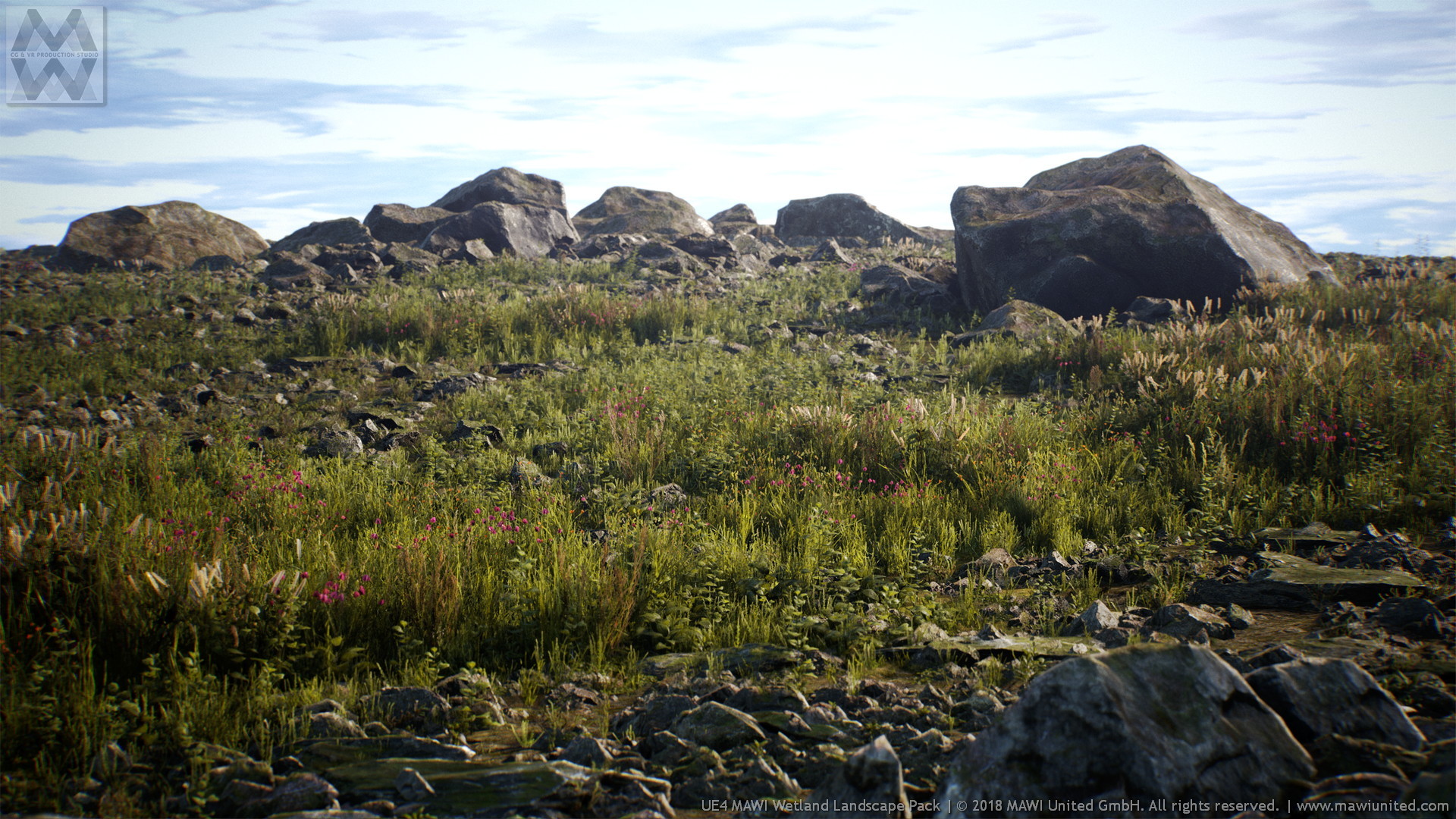 ArtStation - UE4 Wetland Landscape
