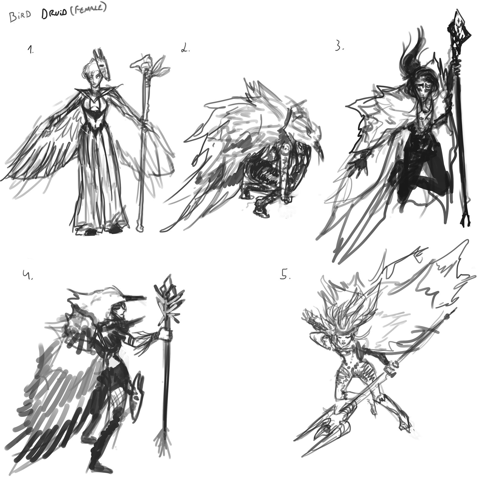 Luiz Felipe Lutterbach Erthal - Bird Druid