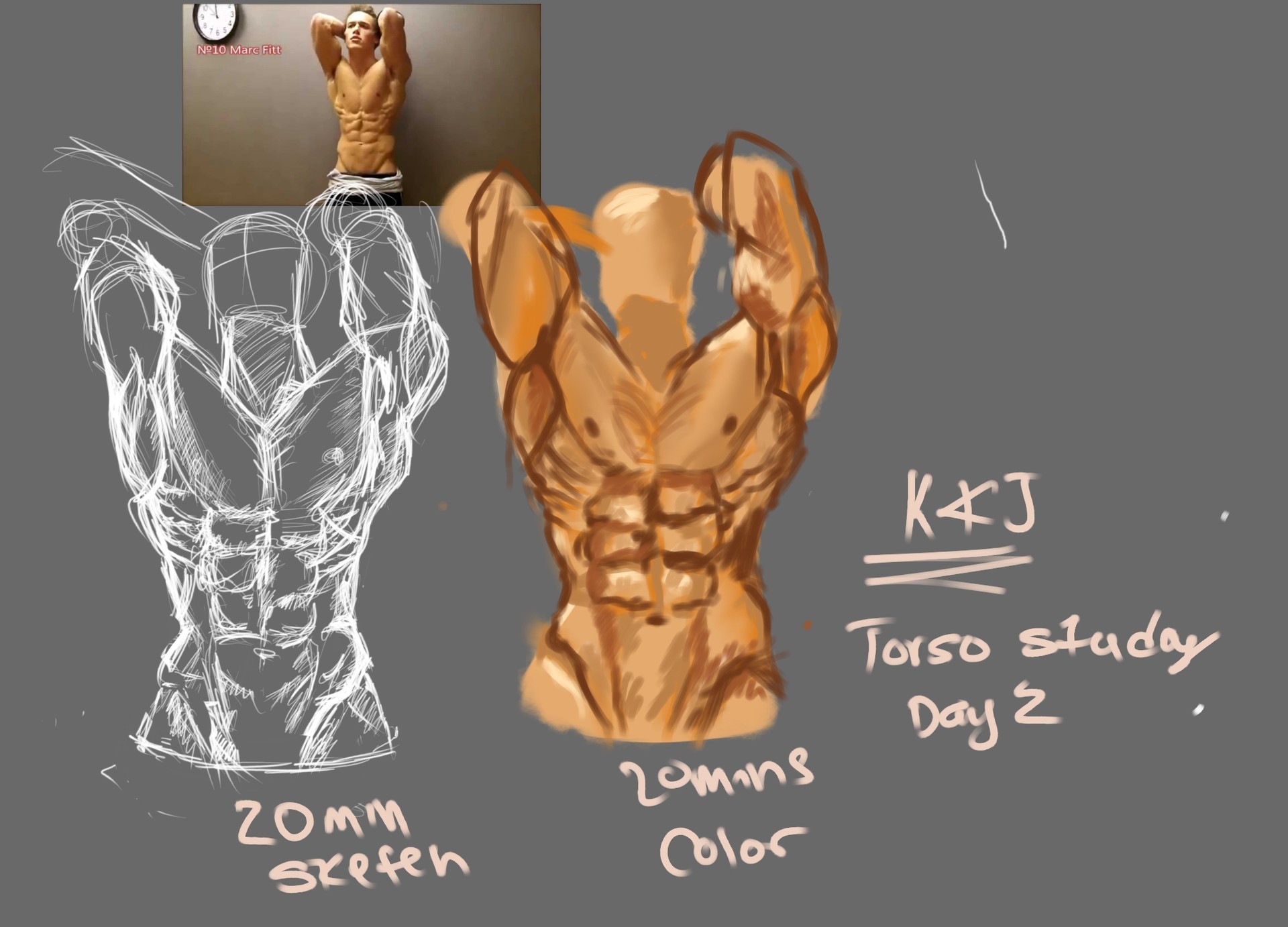 ArtStation - Anatomy, Figures, & Proportion Study