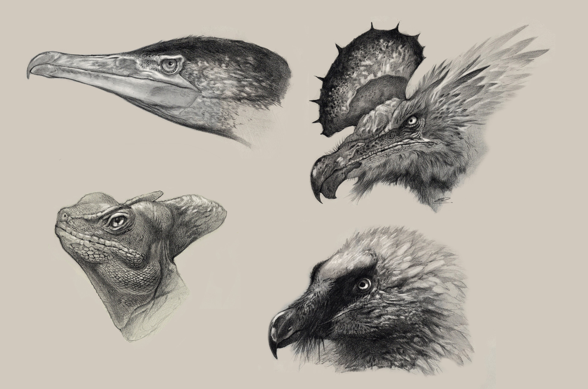 ArtStation - Studies 3