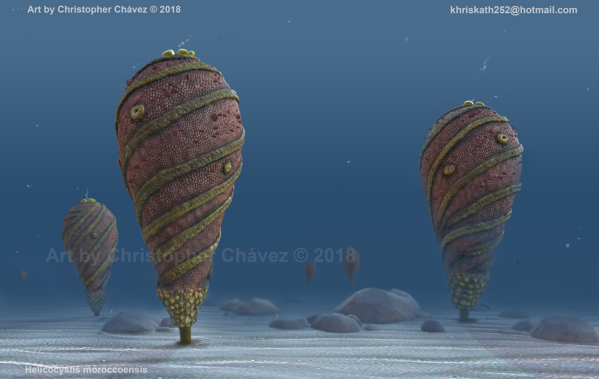 ArtStation - Helicocystis moroccoensis