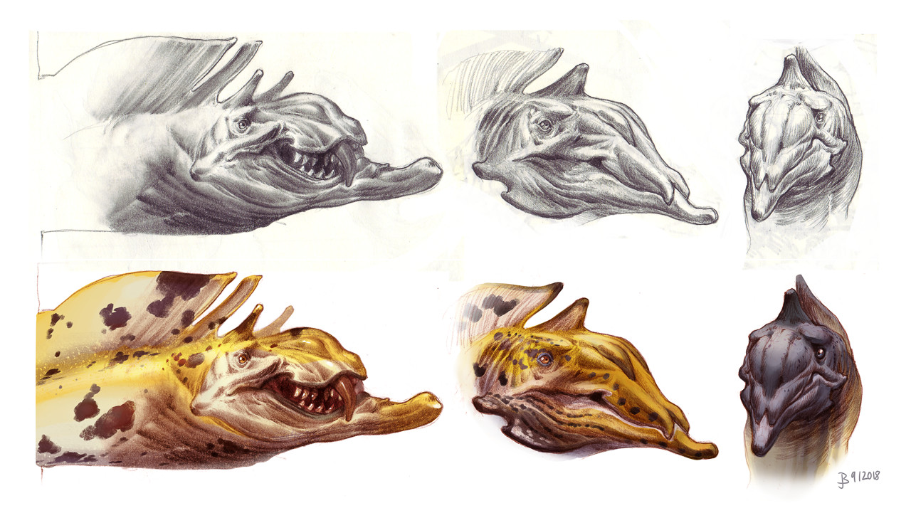 Janine Bertet - "Teuthis" sketches