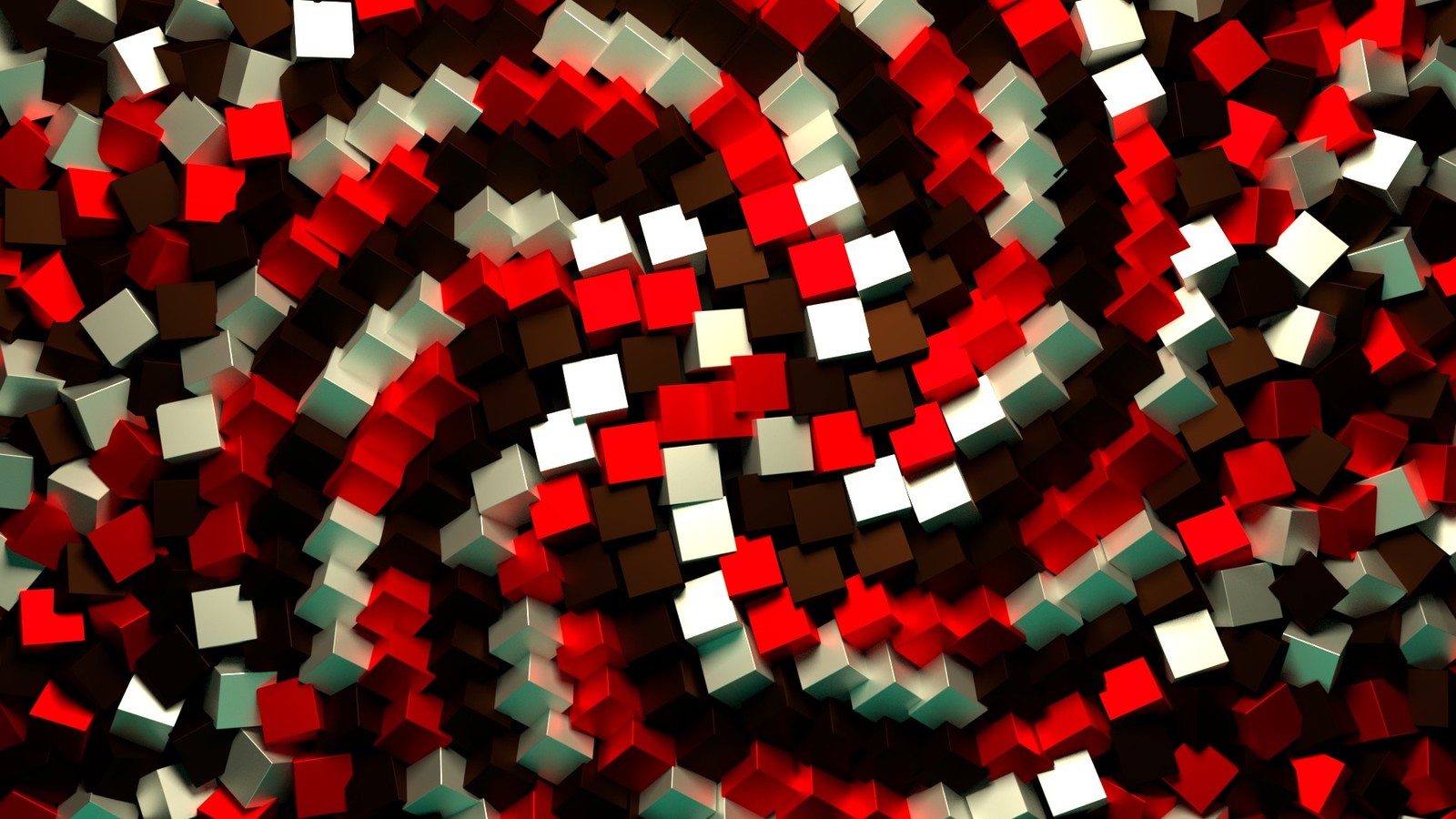 Matt Bell - Phyllotaxis