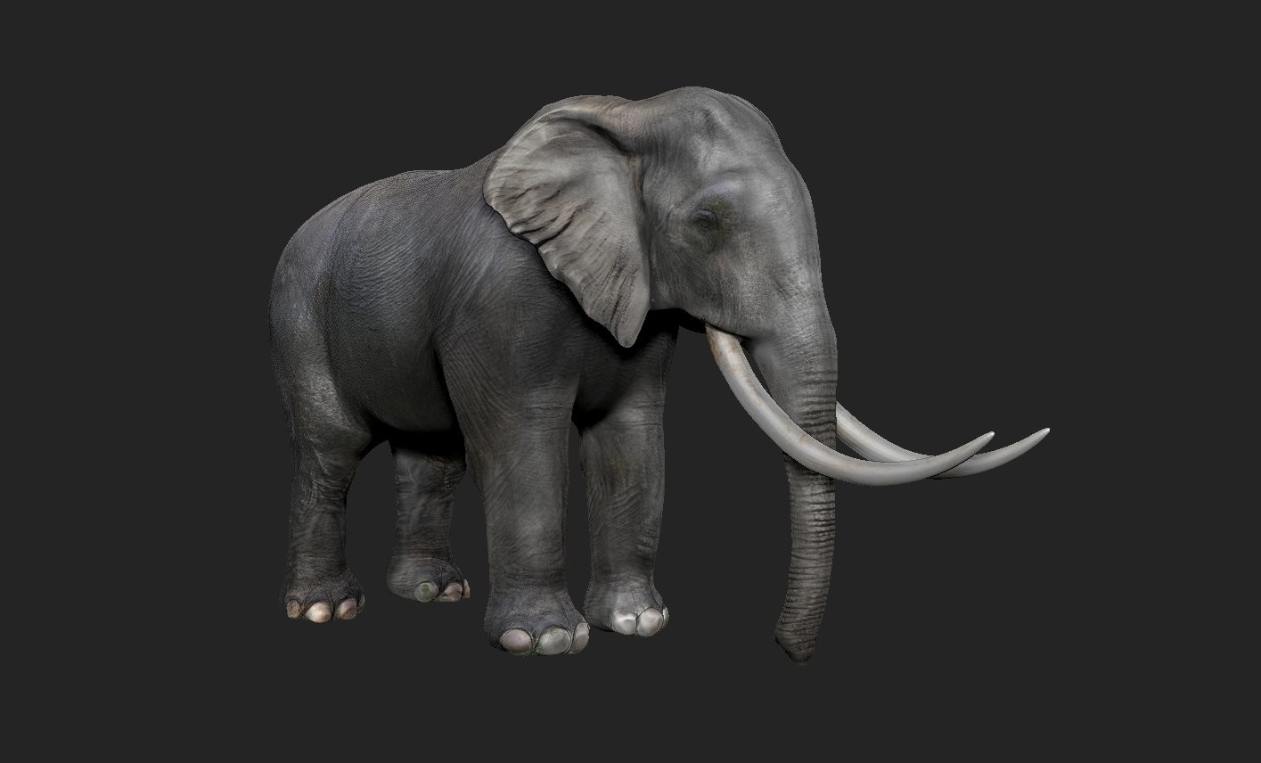 Igor K - 3D model Elephant