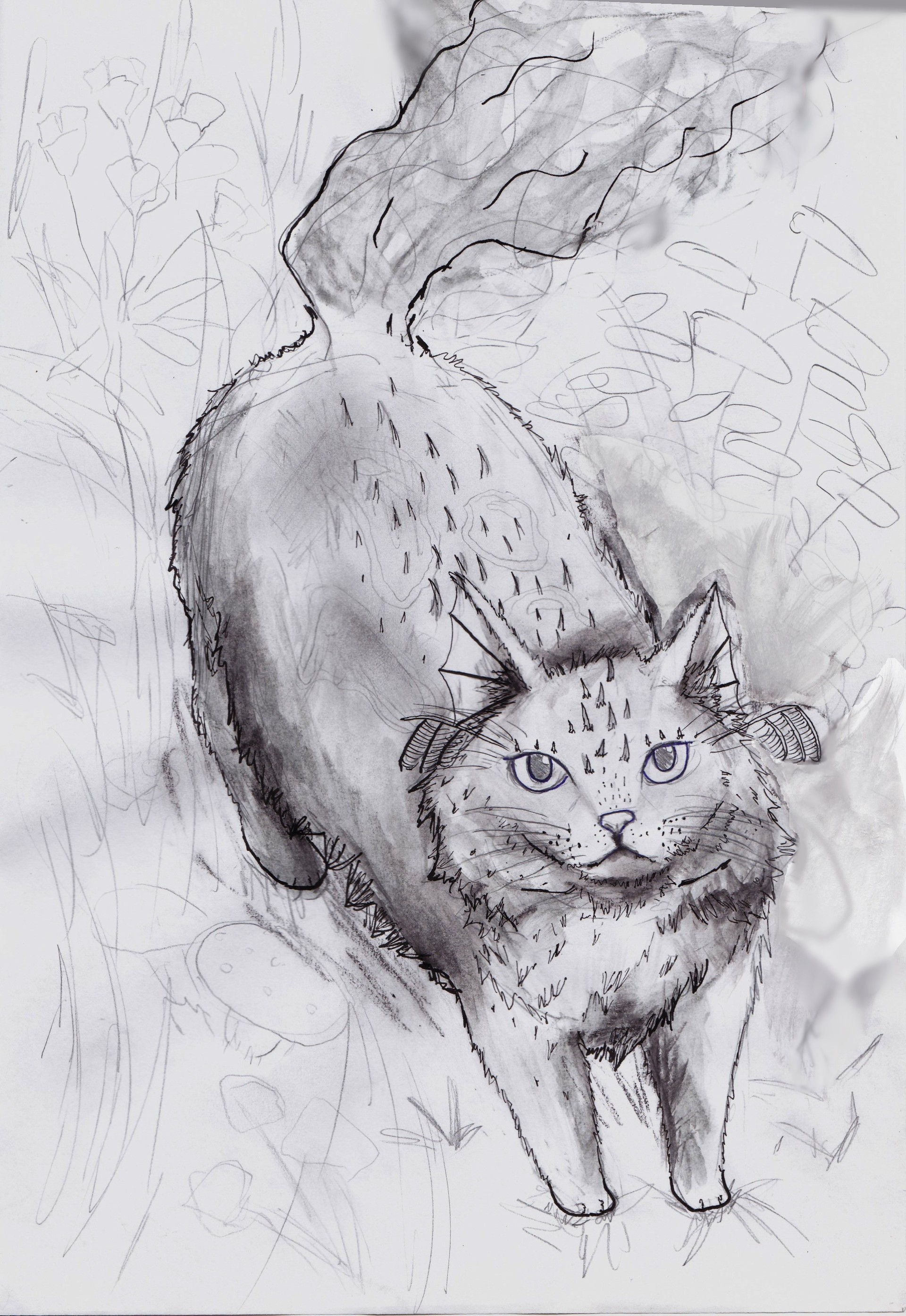 ArtStation - Inktober-Day 01: Poisonous (cat)