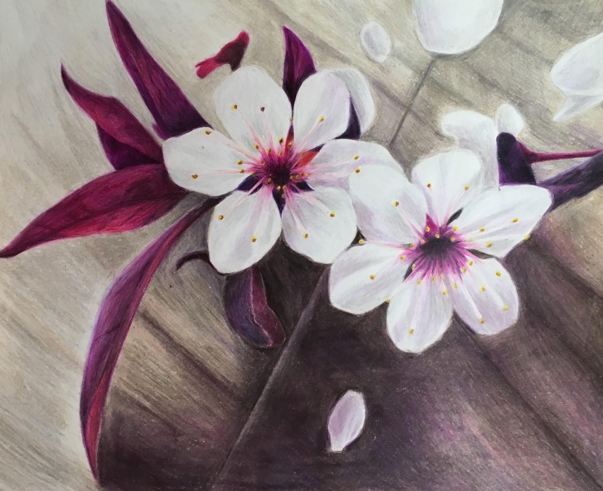 ArtStation - Colored Pencil Flowers