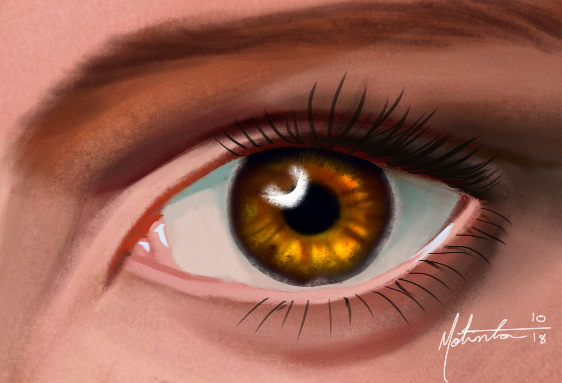 ArtStation - Eye Study - w/Reference.