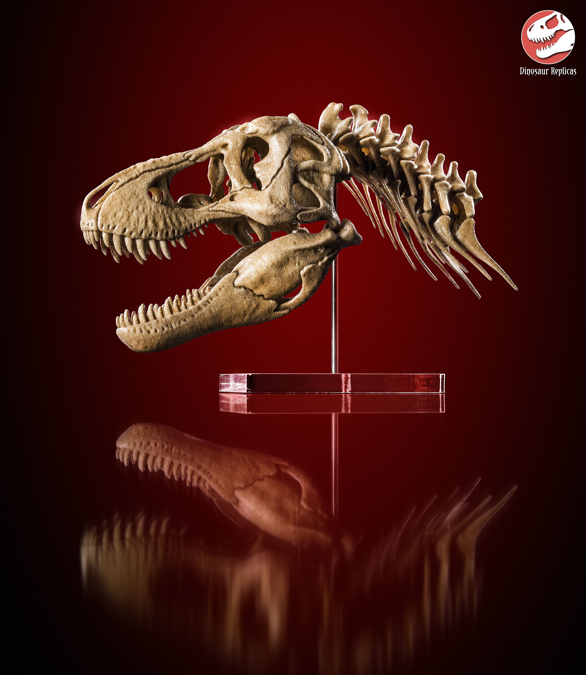 DinoReplicas - 3D Model Works - 3D printed dinosaur skull and neck ...