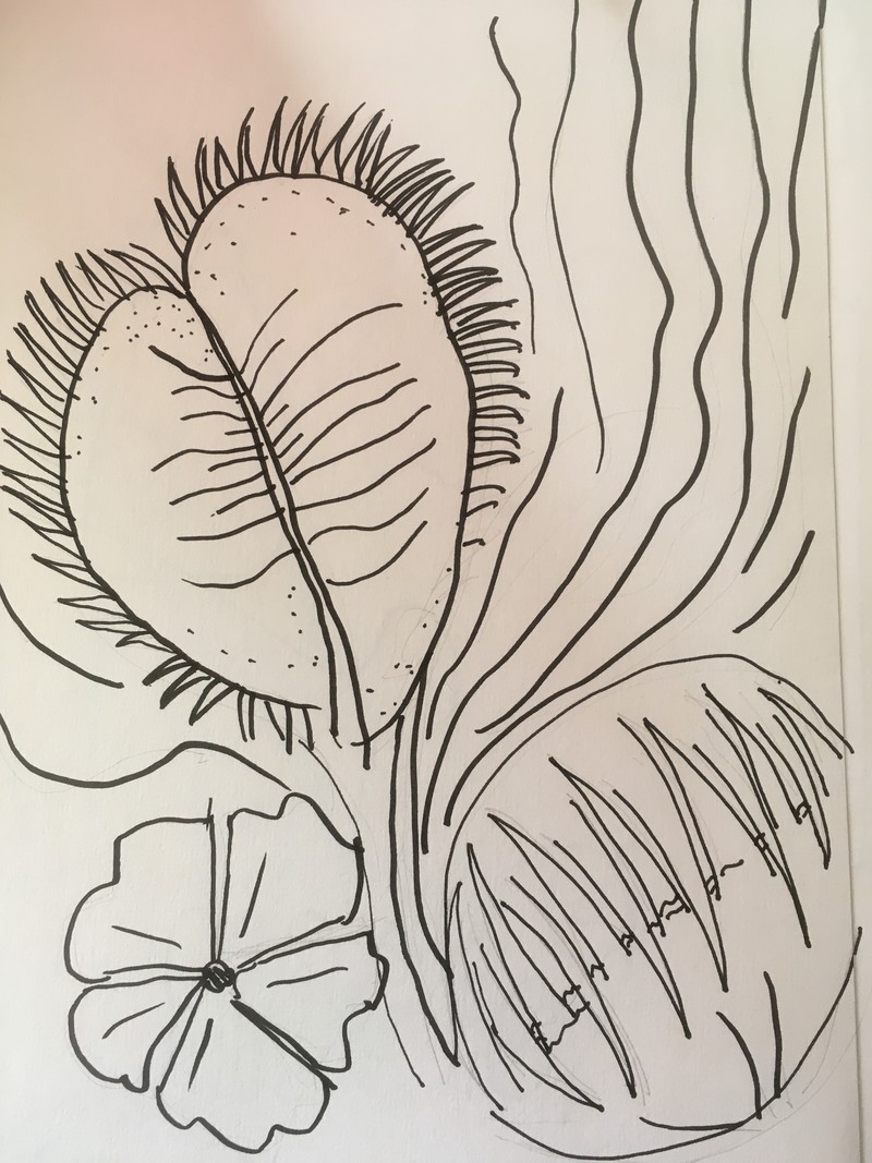 ArtStation - Zen Panda