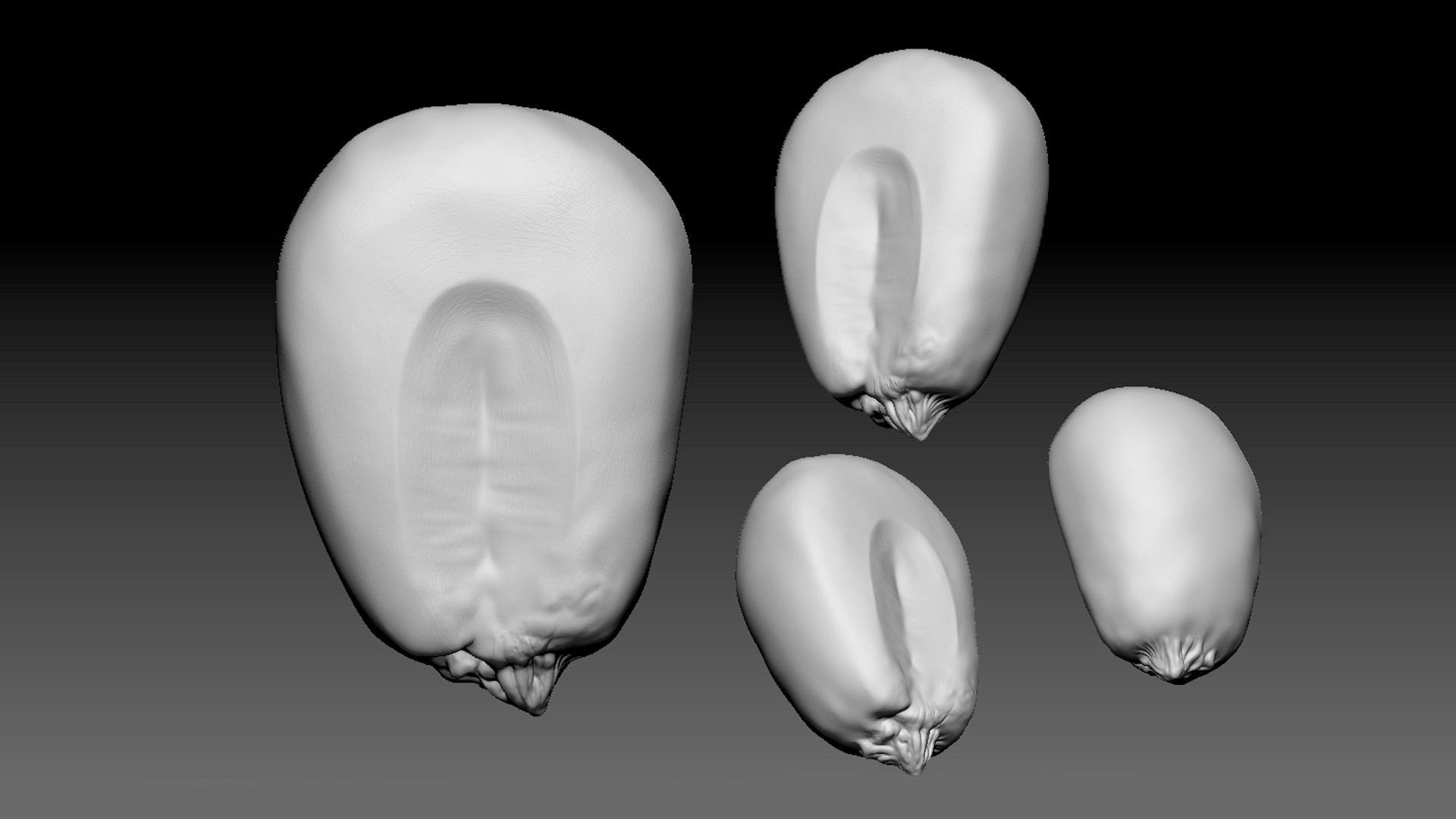 Paulo Corona - Corn Grain