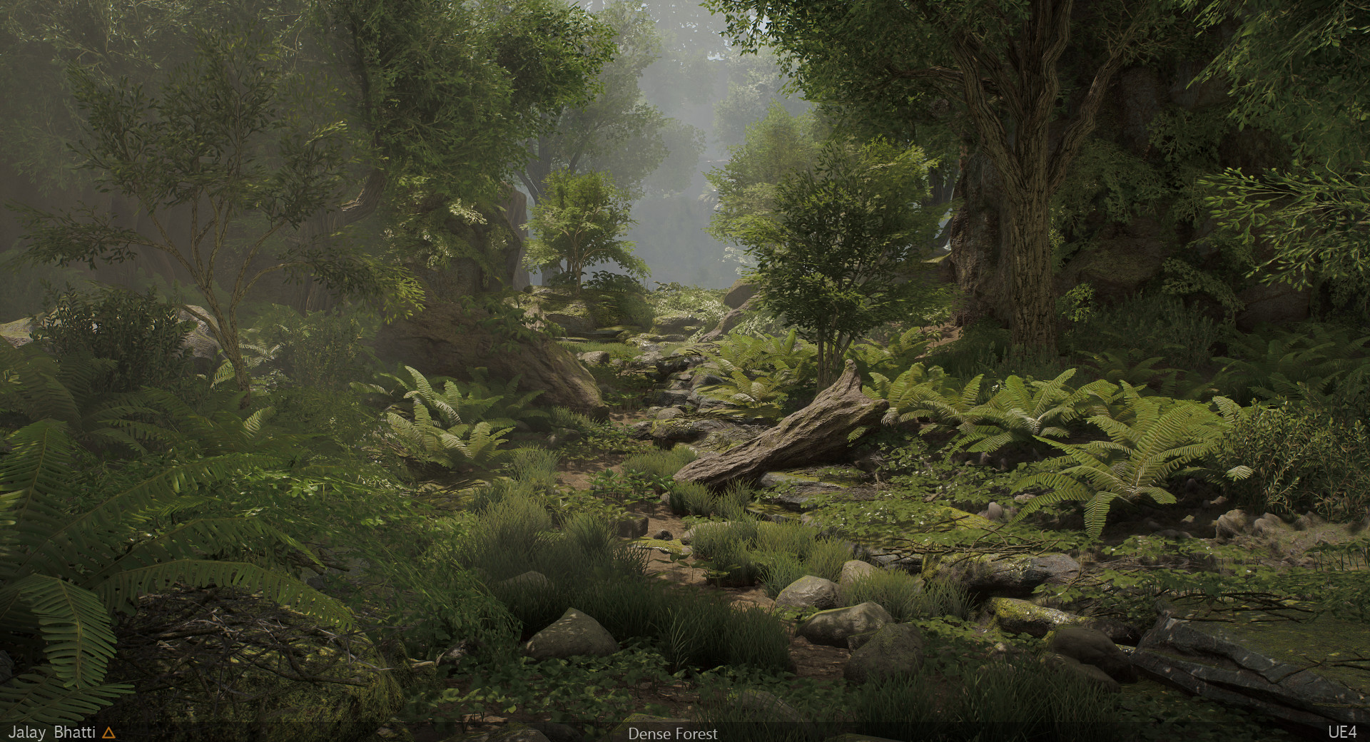 Jalay Bhatti - [Personal Work] Dense Forest (UE4)
