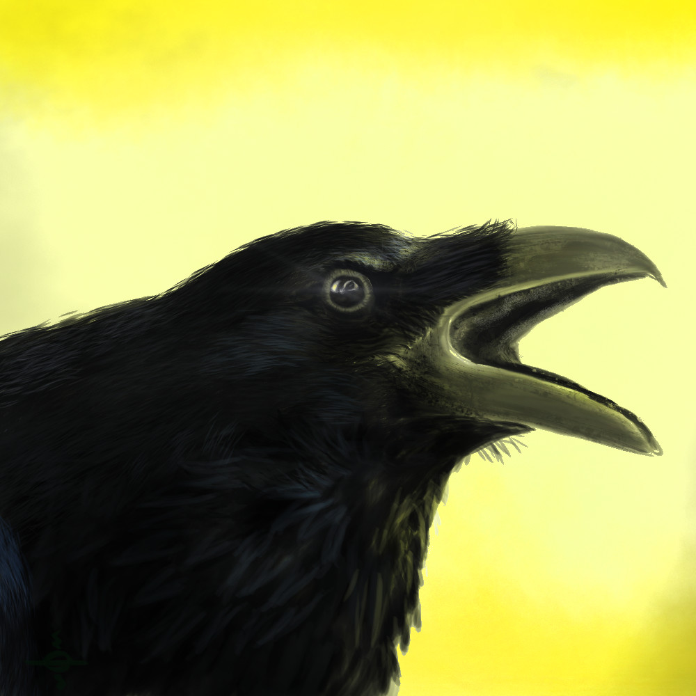 ArtStation - Crow