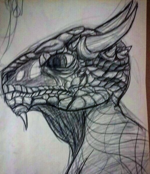 Fiona Hurst - Lizard men