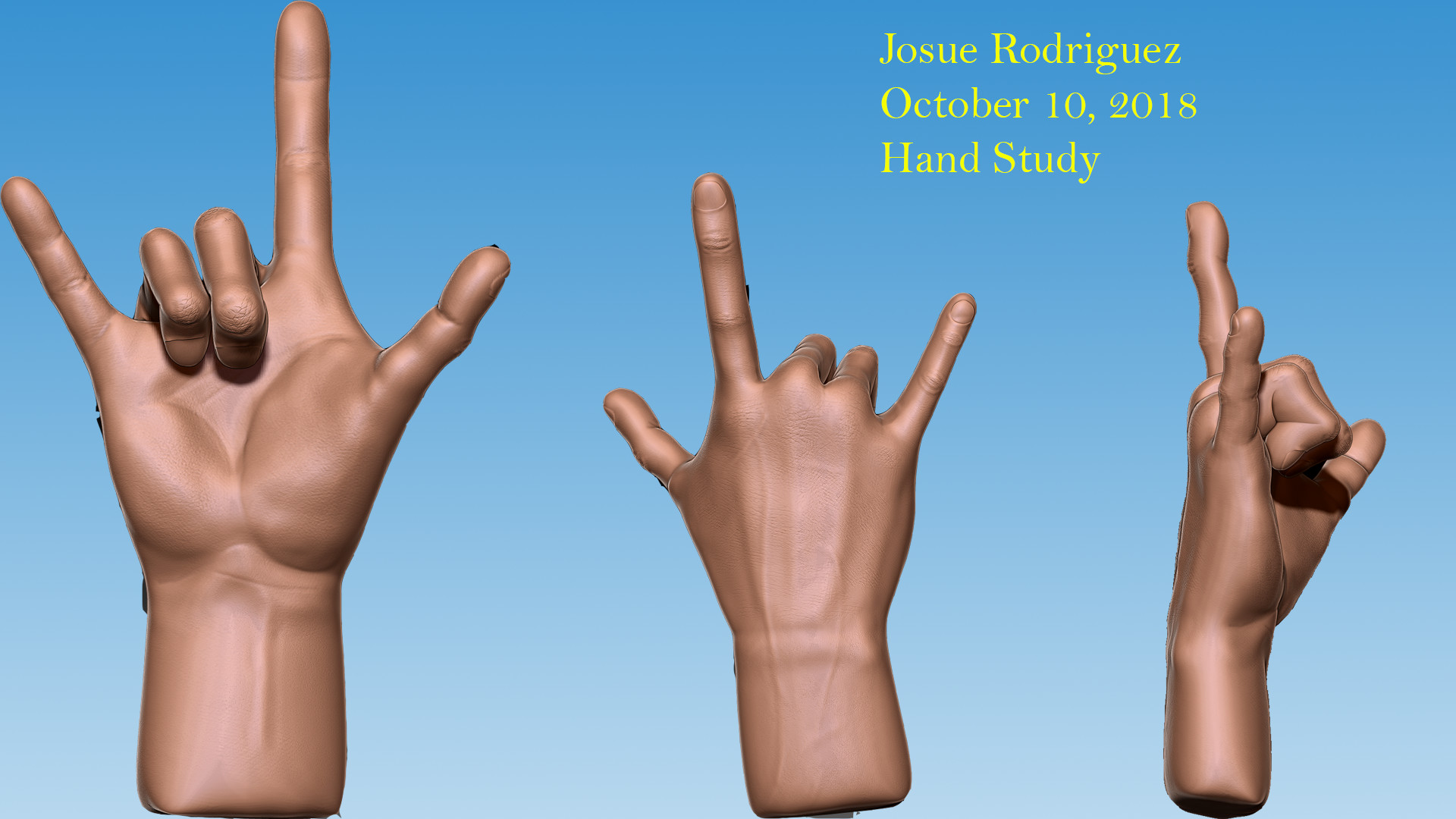 ArtStation - Anatomy Study (Hand)