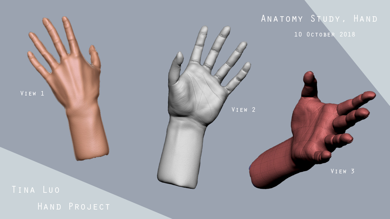 ArtStation - Hand Project