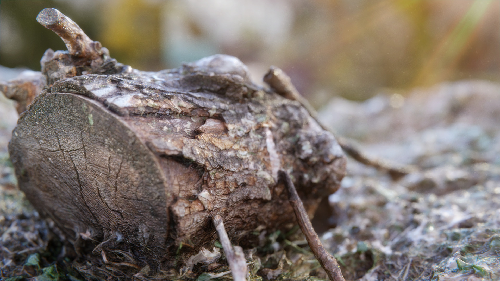 ArtStation - The Broken Tree