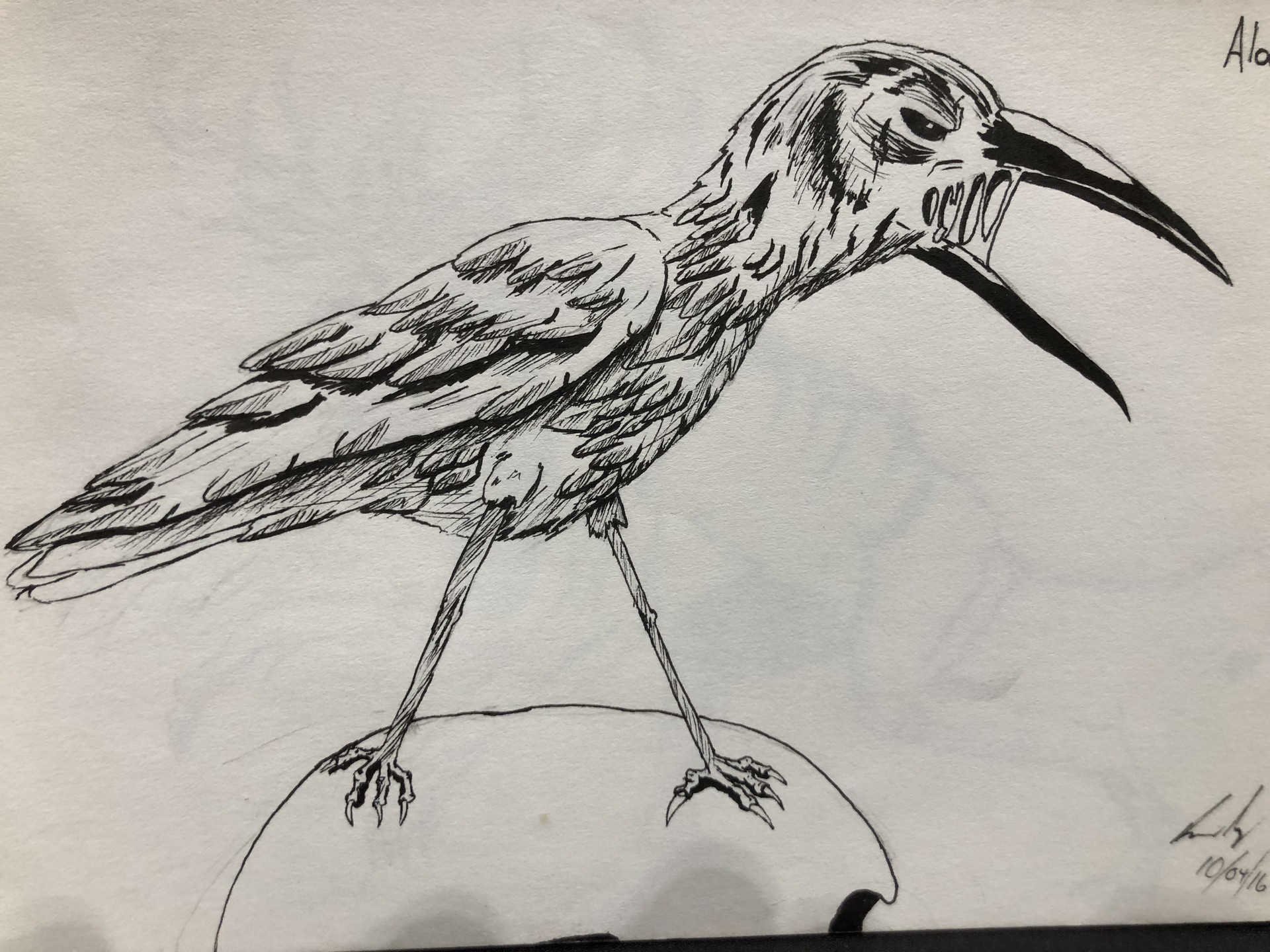 ArtStation - Demon bird