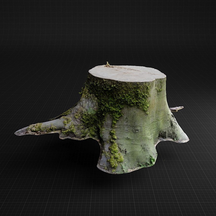 ArtStation - Stump_021