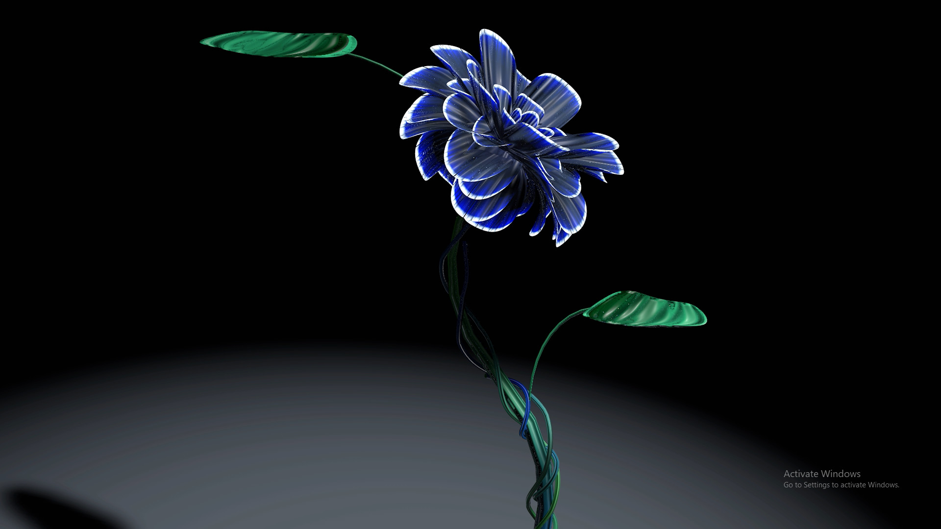 Uy Nguyễn - Blooming flower