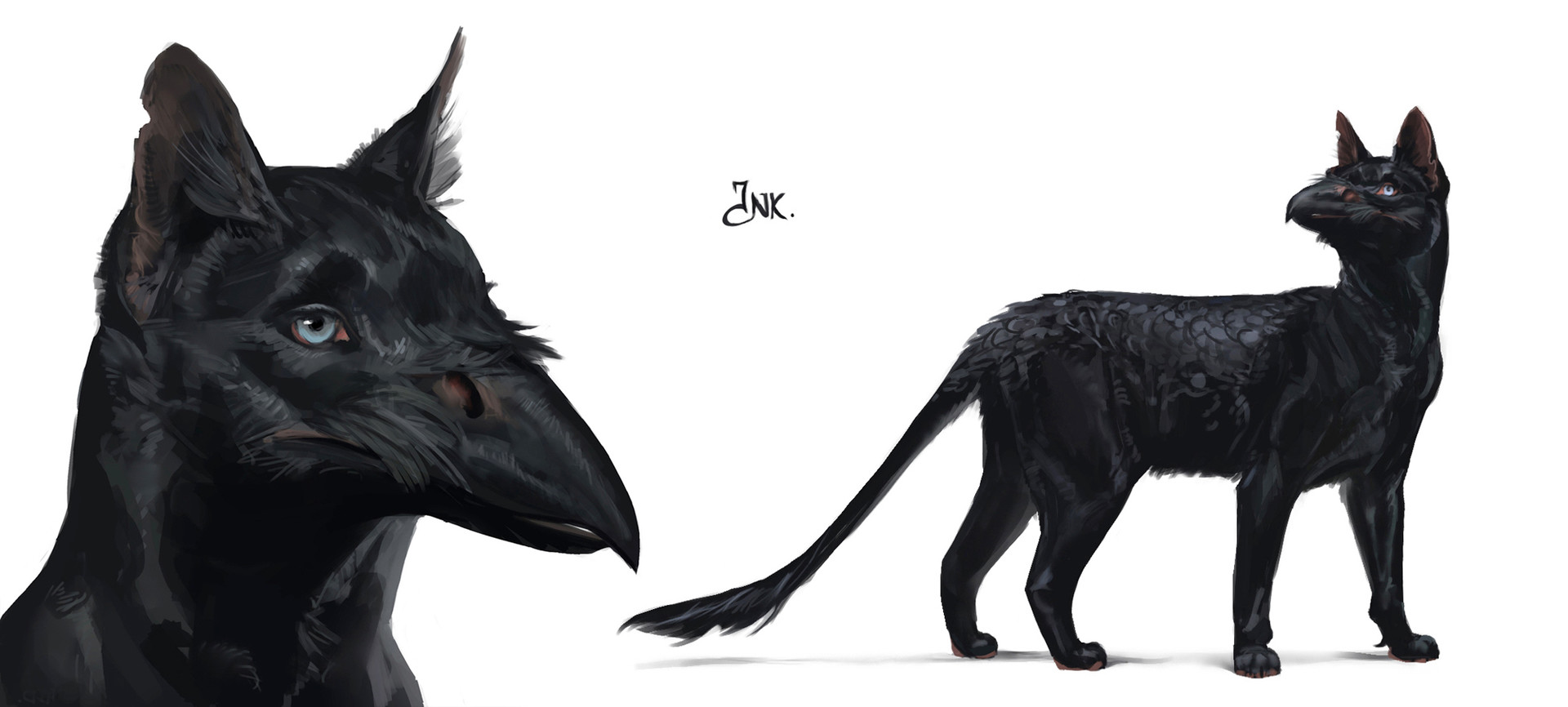 ilse-gort-catgriffonthingy.jpg (1920×866)-花瓣网