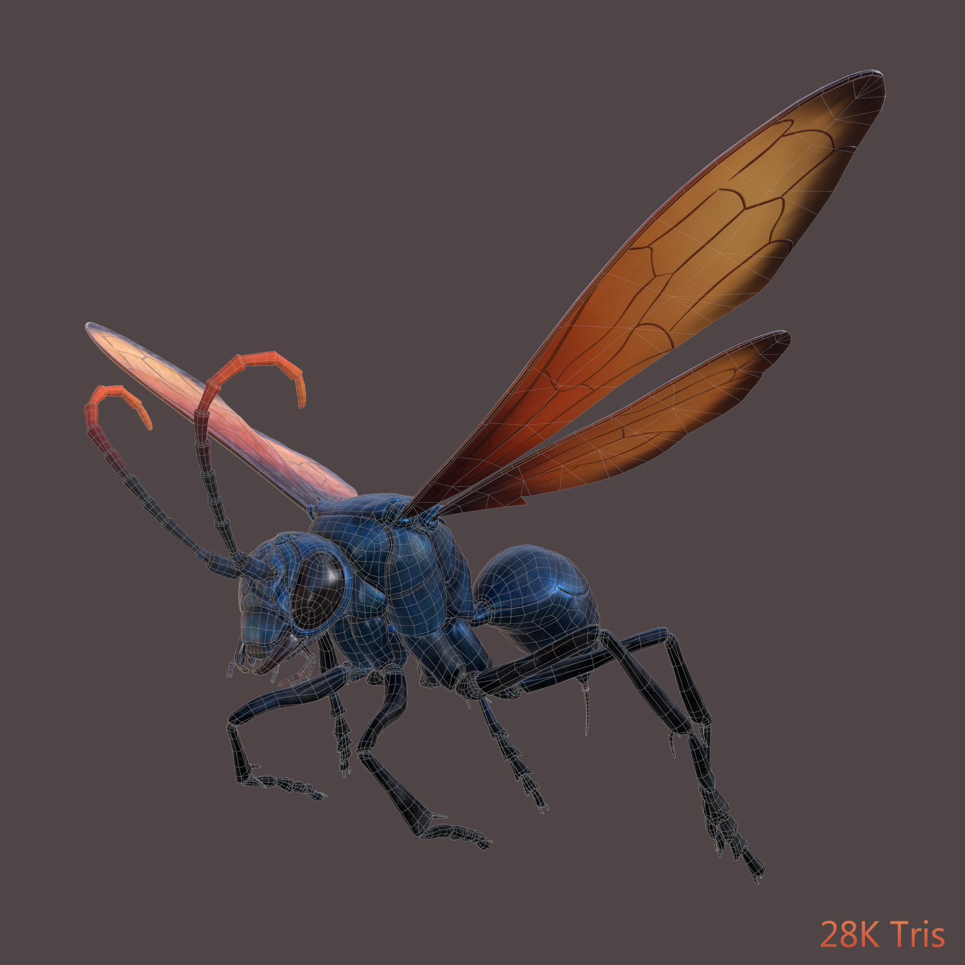 Chris Alford - Tarantula Hawk